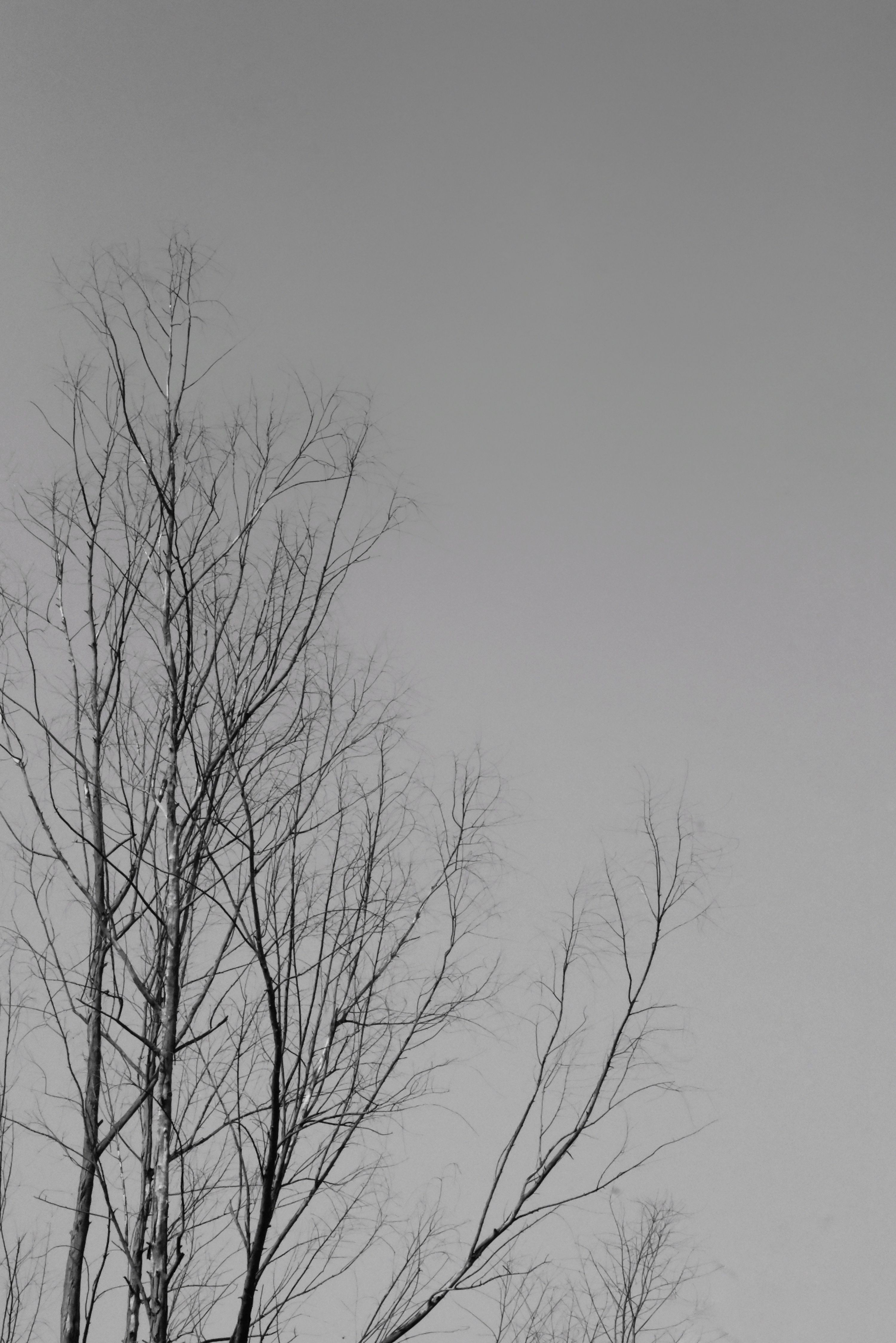 Abhishek Patel - Photography