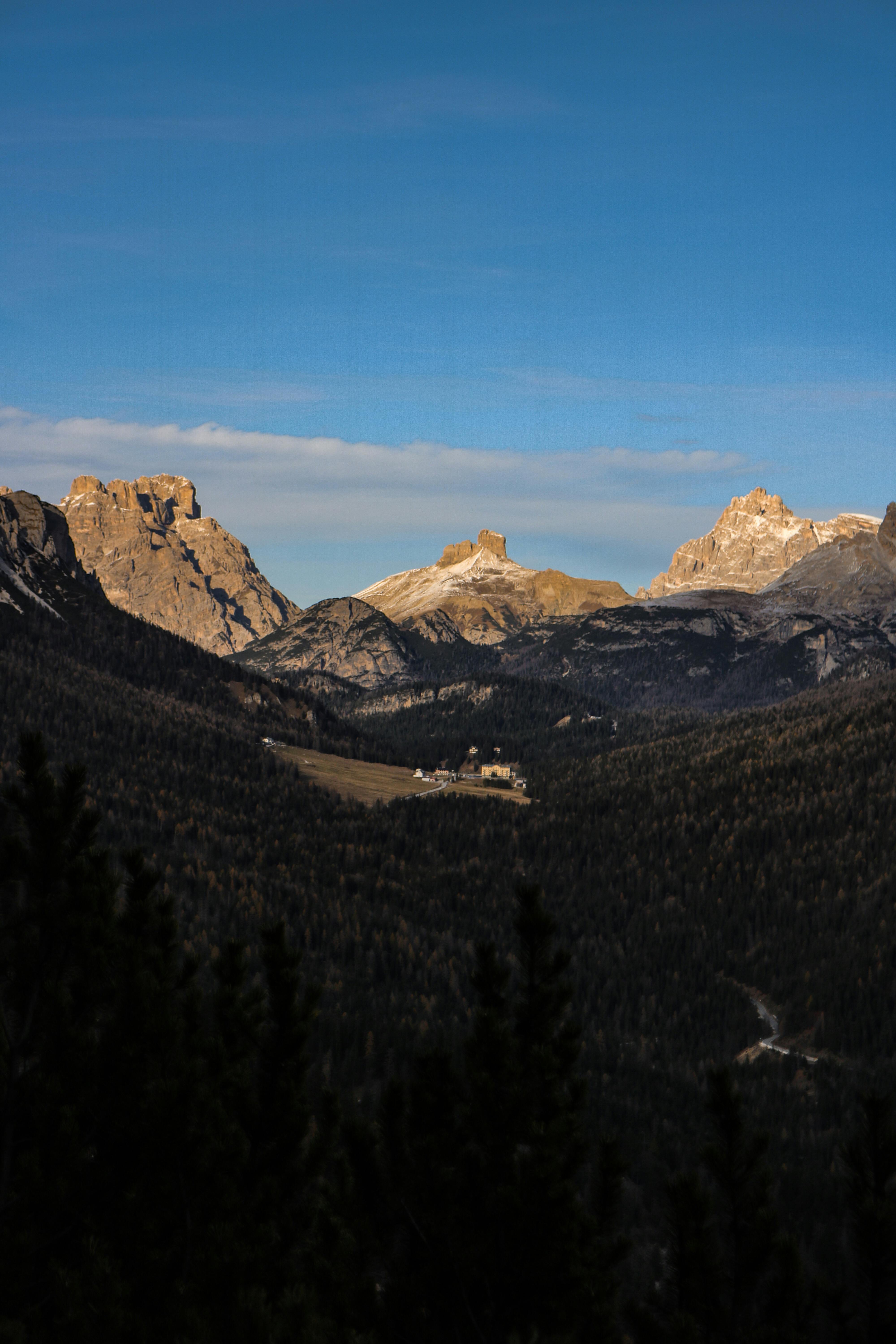 Foresting Photos, Download The BEST Free Foresting Stock Photos & HD Images