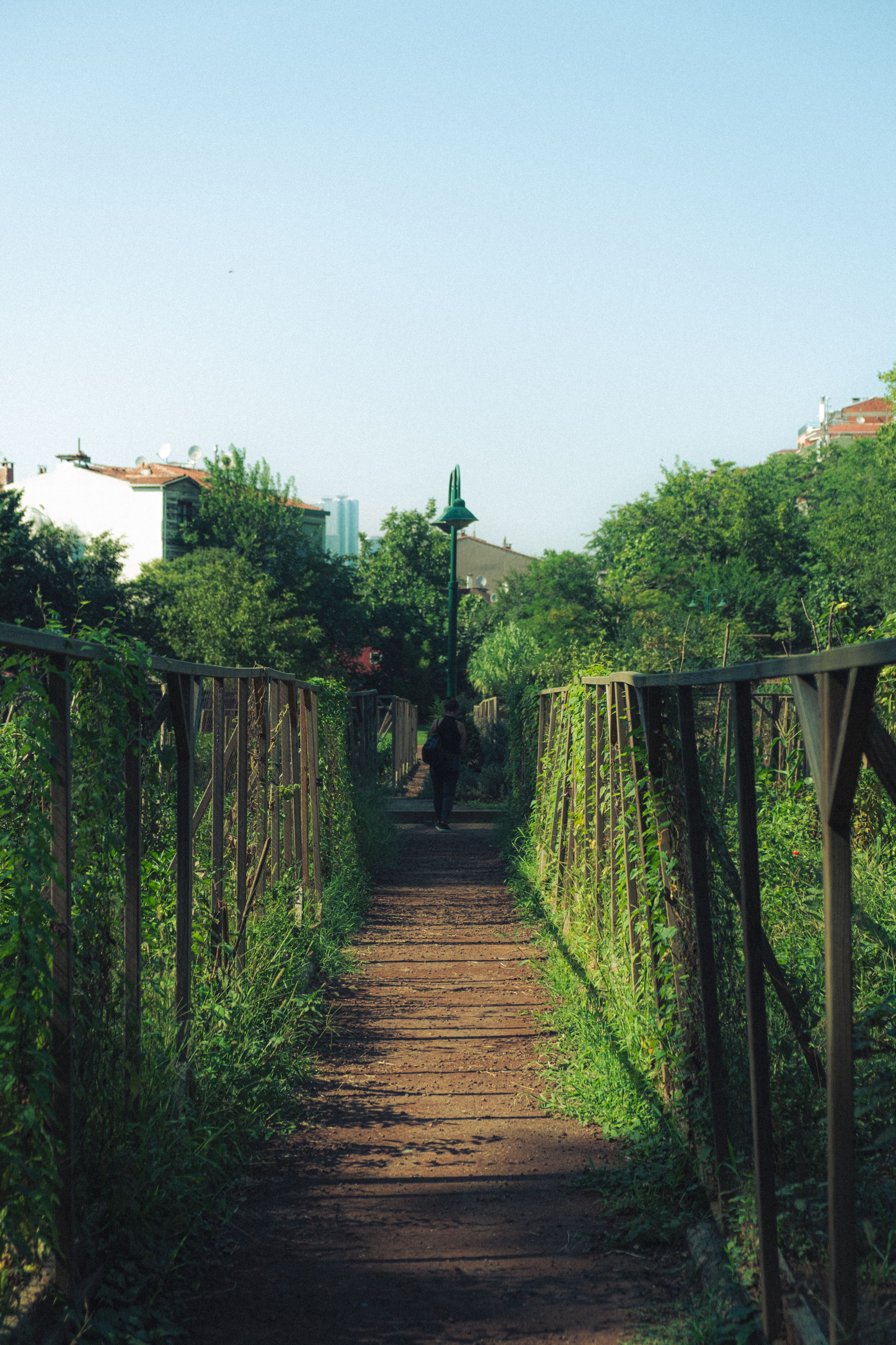 Walk In Green Area Photos, Download The BEST Free Walk In Green Area ...