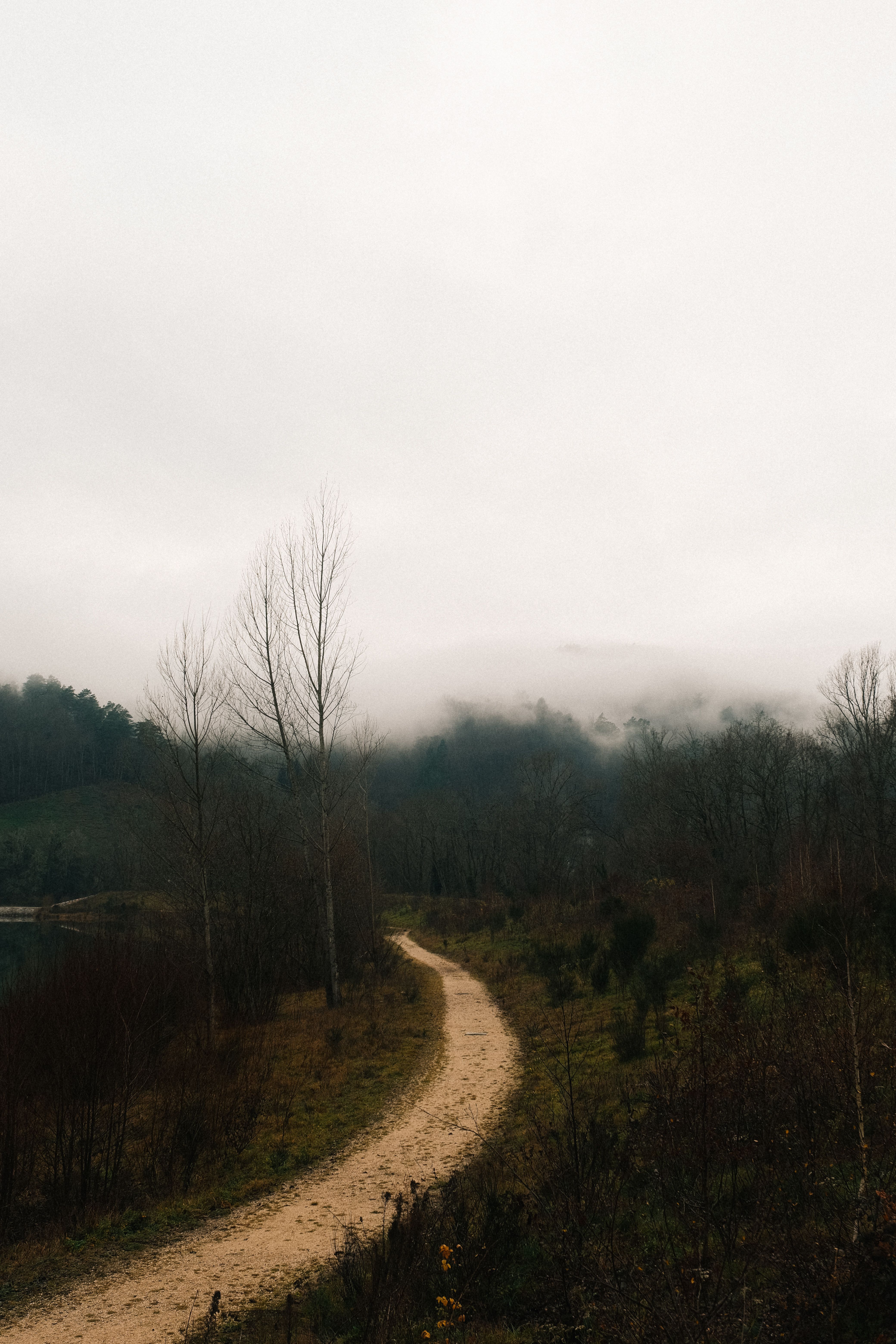 Footpath in Gloomy Autumn Scenery · Free Stock Photo