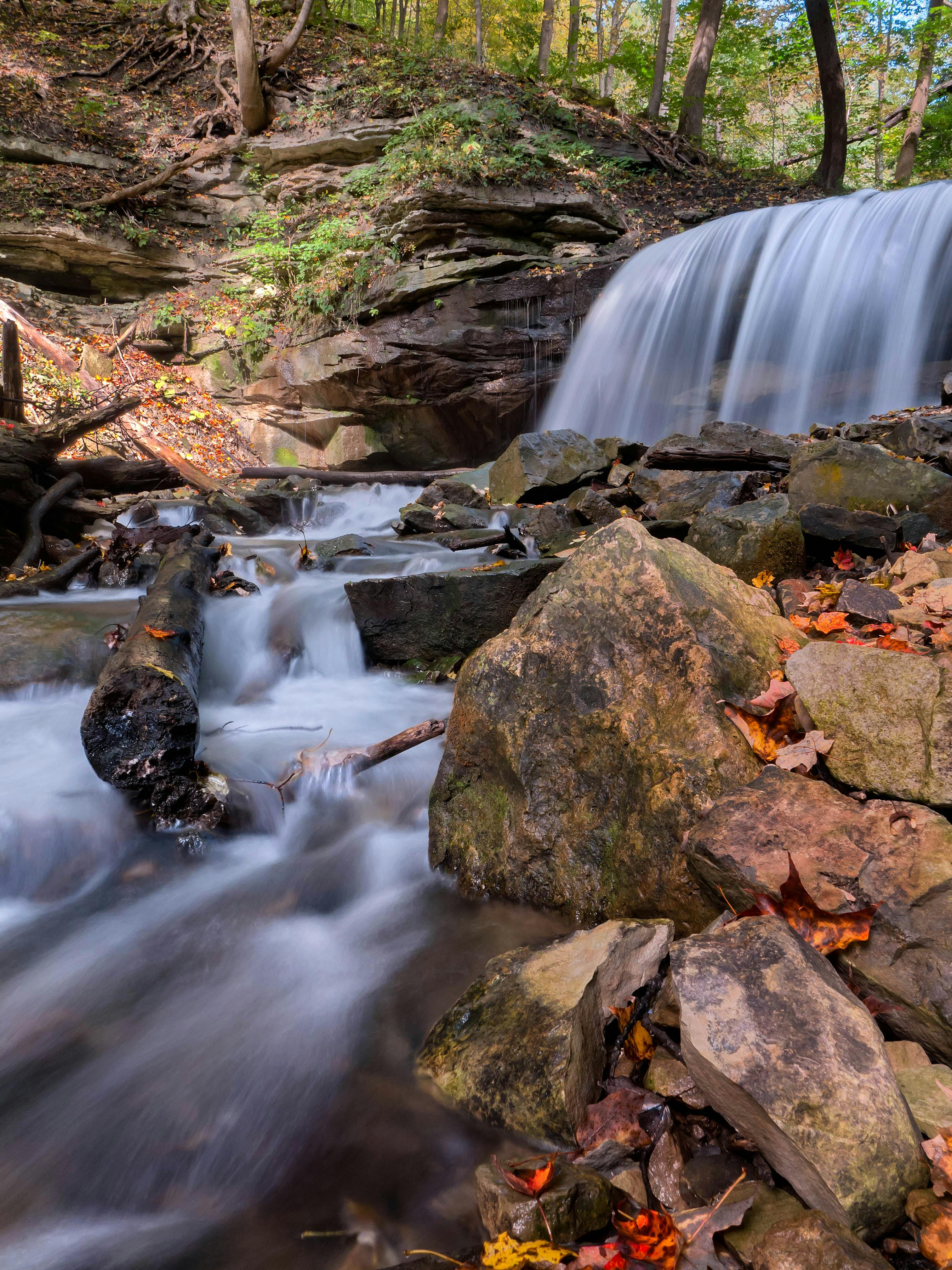 Stream Flowing Through Rocks in Forest · Free Stock Photo