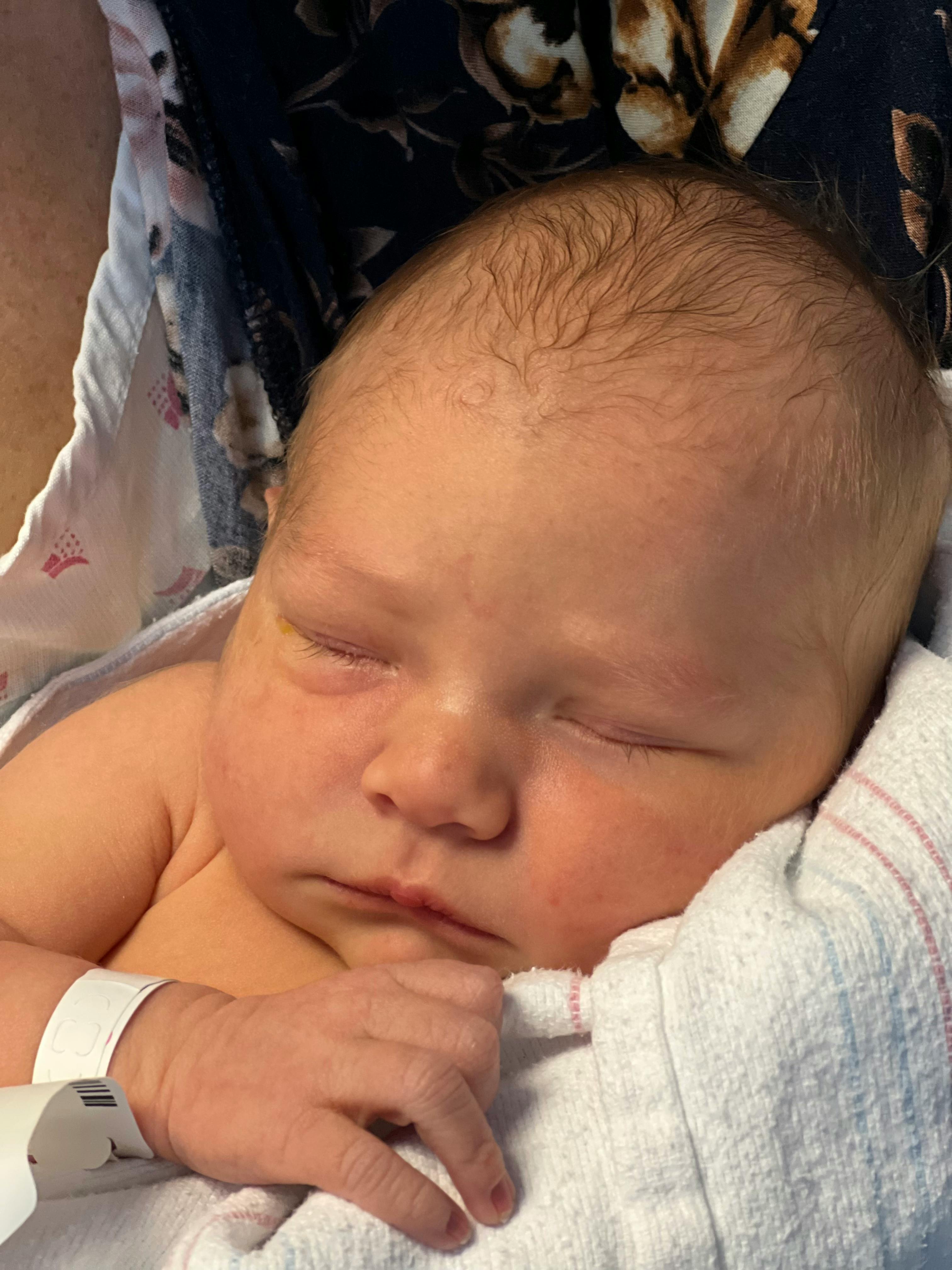 Ro Bee - Fotografía