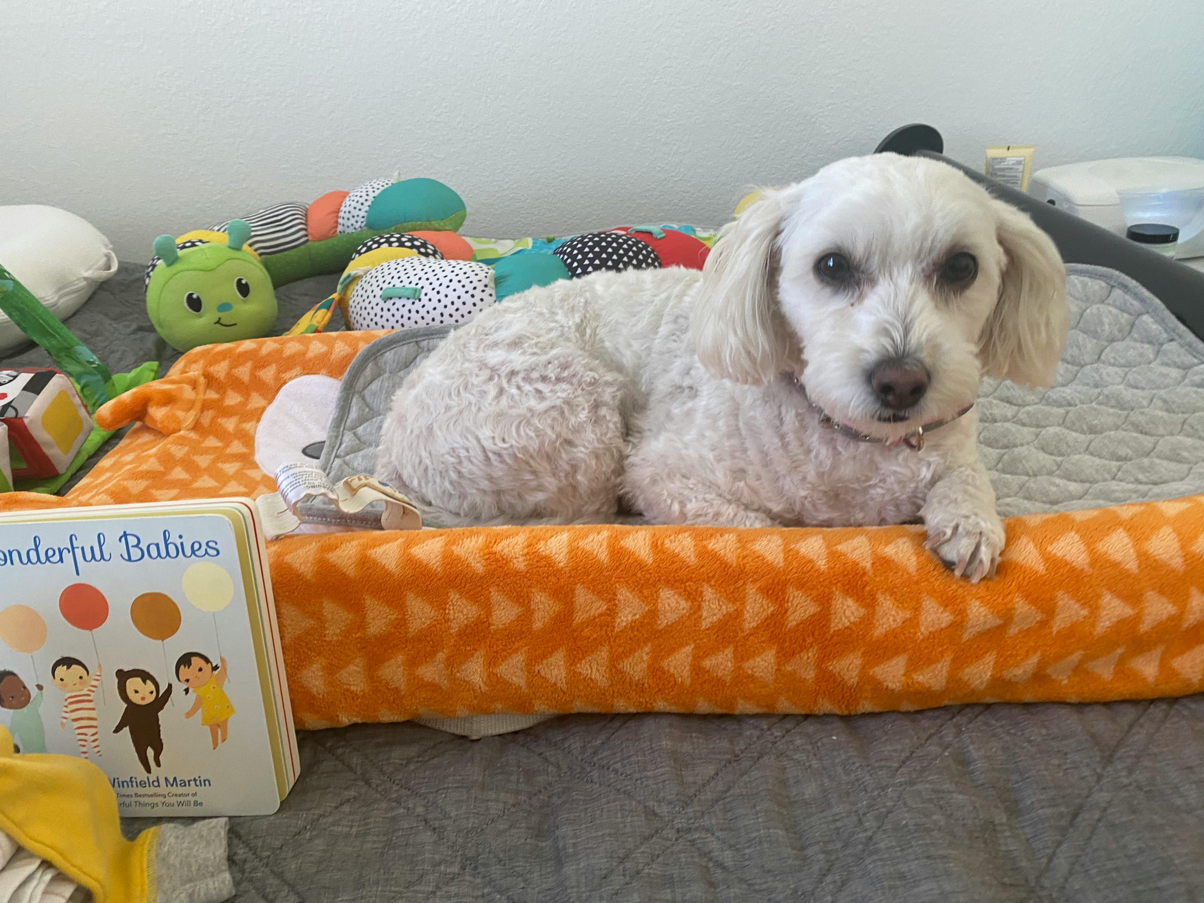 Ro Bee - Fotografía