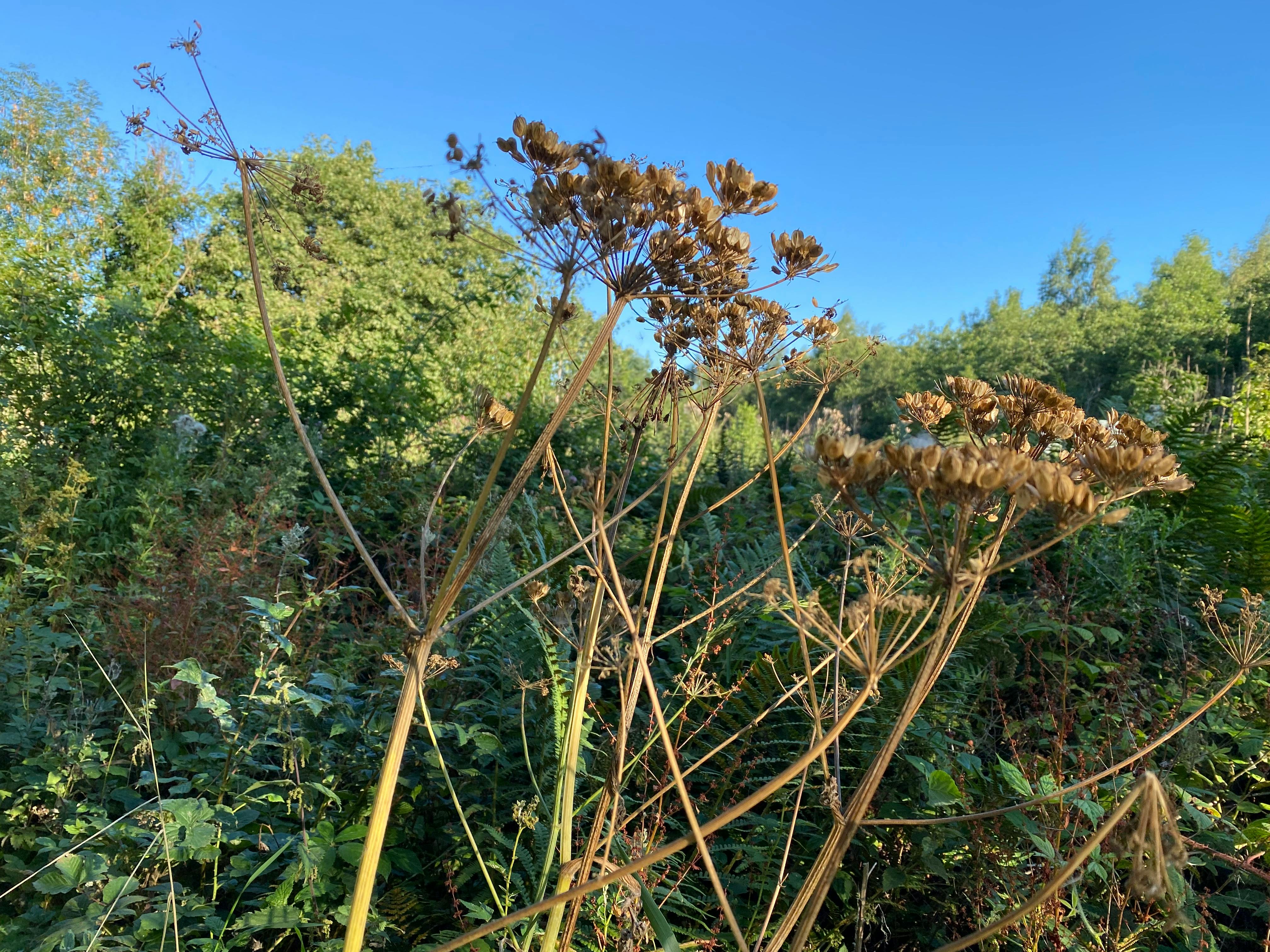 Nick Collins - Photography