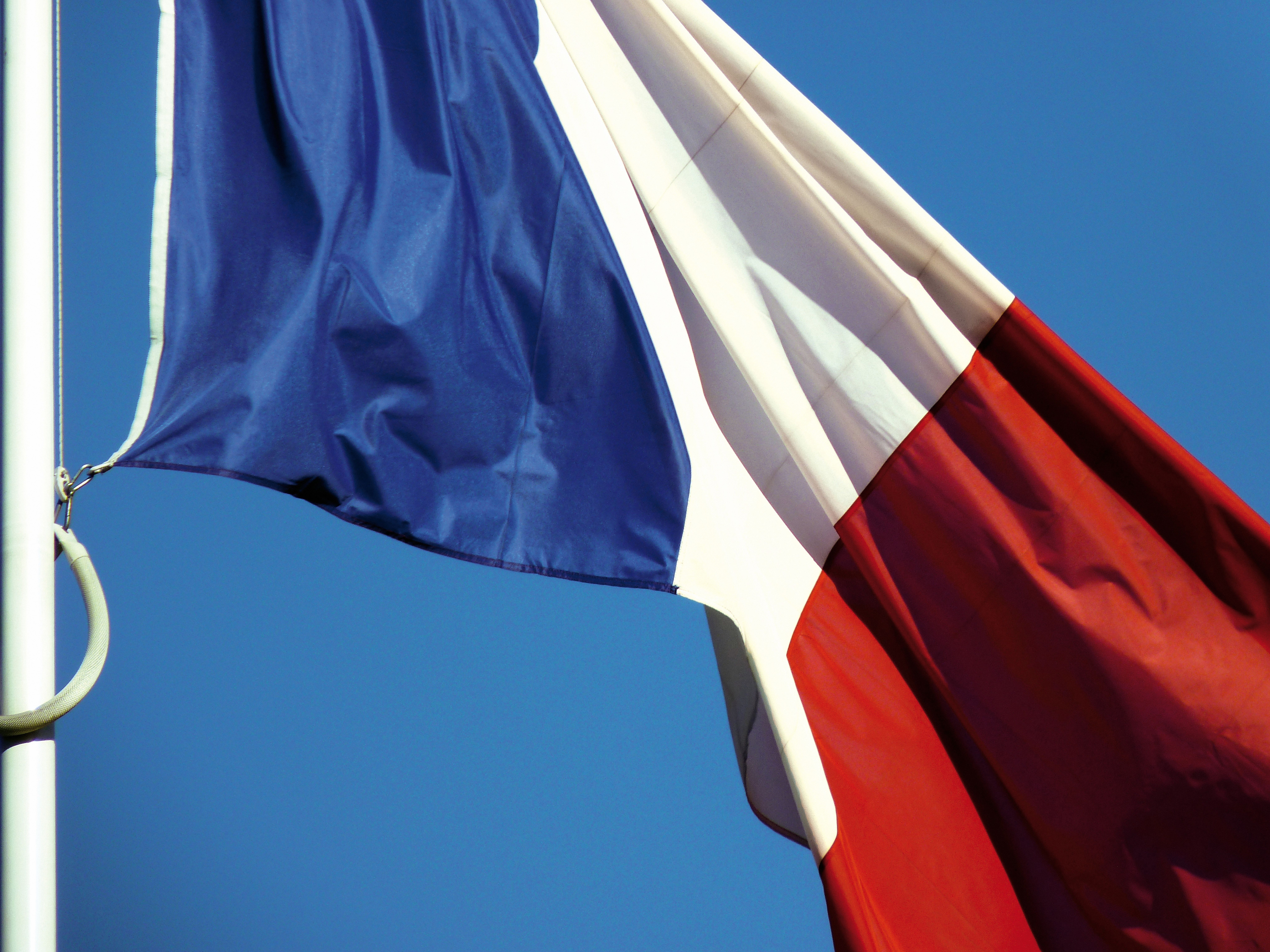 French Flag Photos, Download The BEST Free French Flag Stock Photos ...