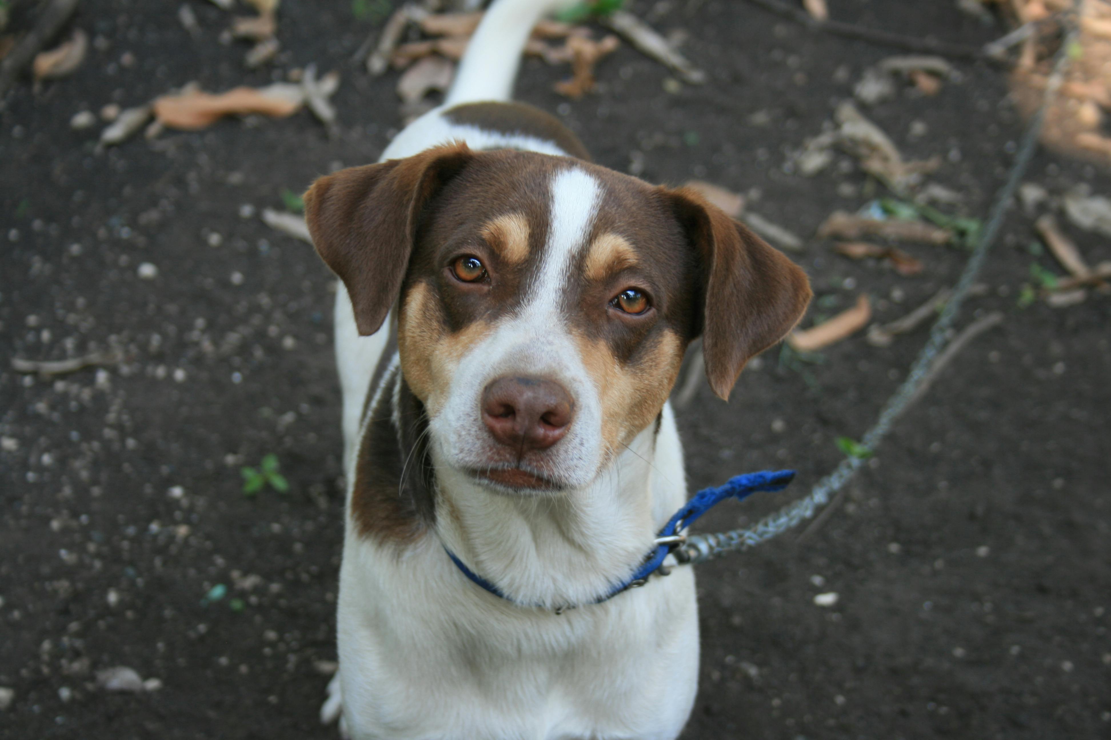 Trusting Look Photos, Download The BEST Free Trusting Look Stock Photos ...