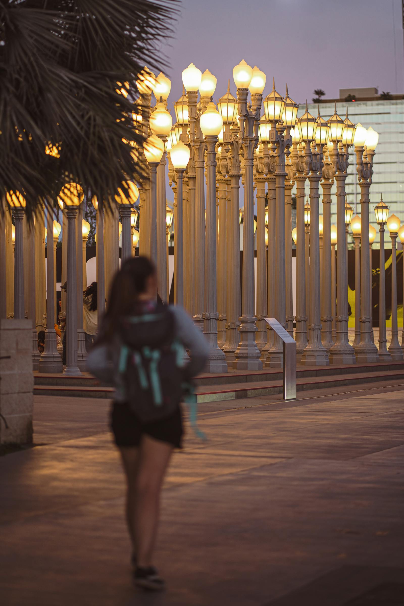 Lacma Photos, Download The BEST Free Lacma Stock Photos & HD Images