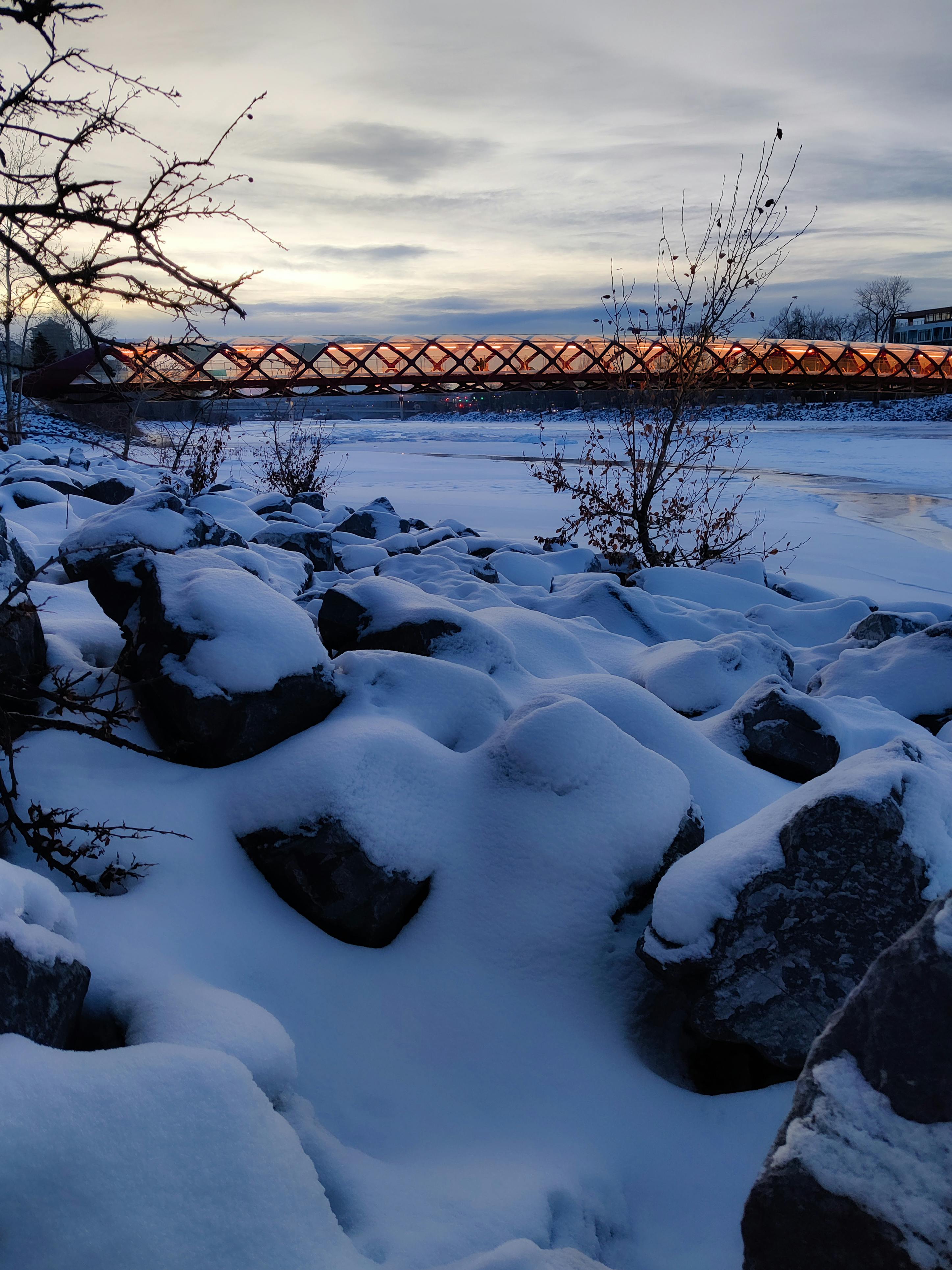 Calgary Photos, Download The BEST Free Calgary Stock Photos & HD Images