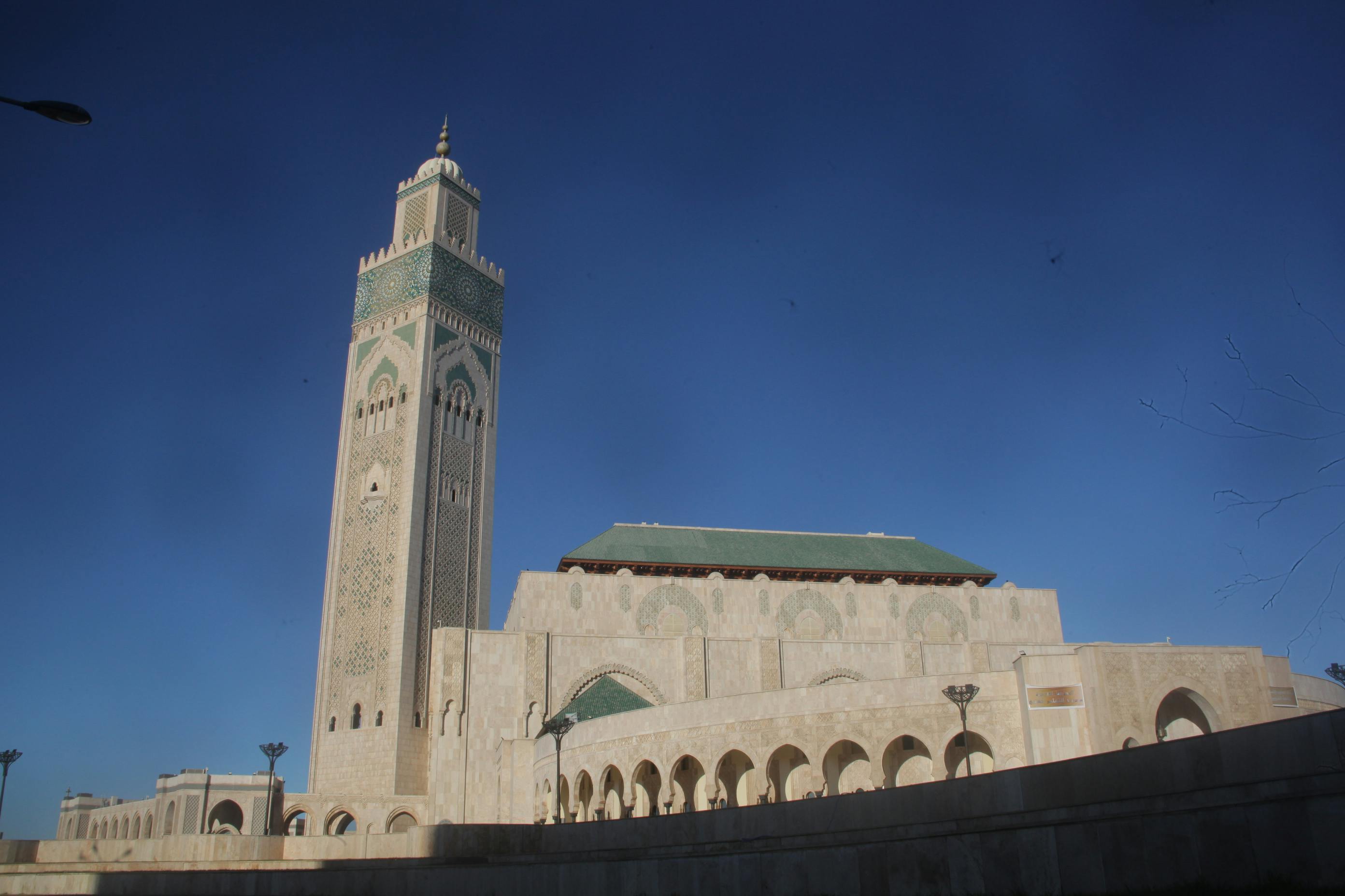 Massoudi Mohamed - 摄影