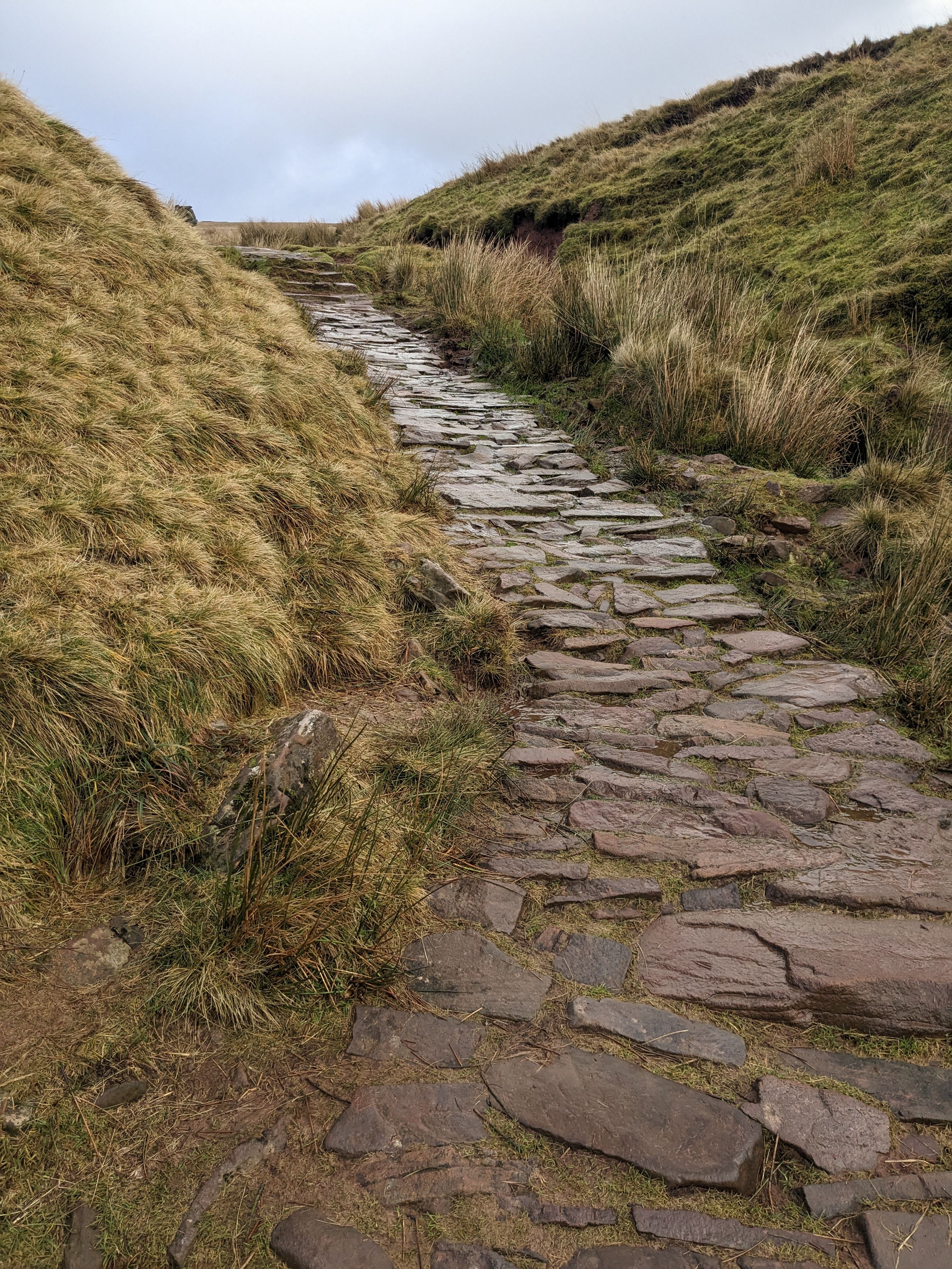 Pathway Leading Up the Hill · Free Stock Photo