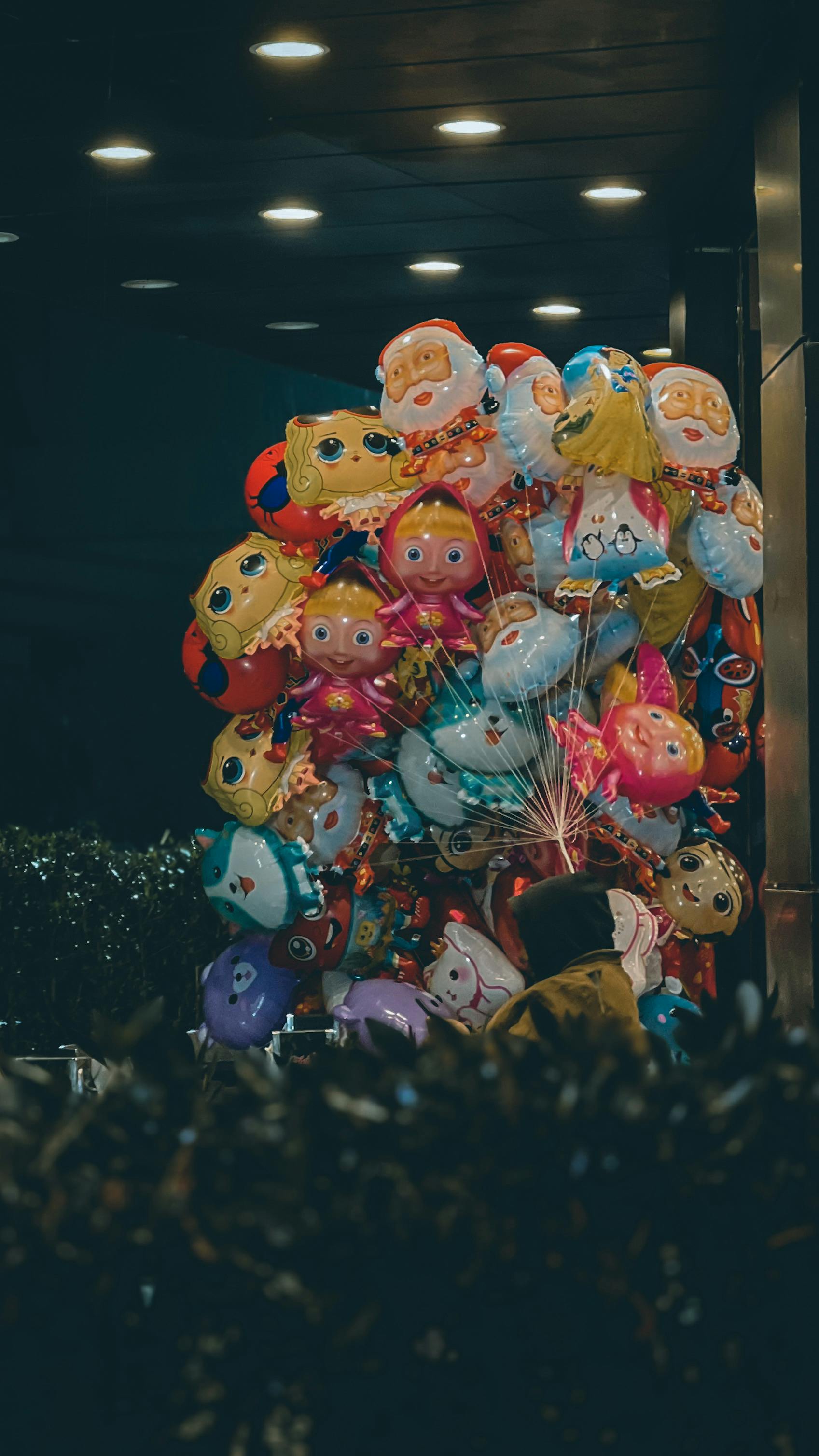 Human Somatic Variation Photos, Download The BEST Free Human Somatic ...