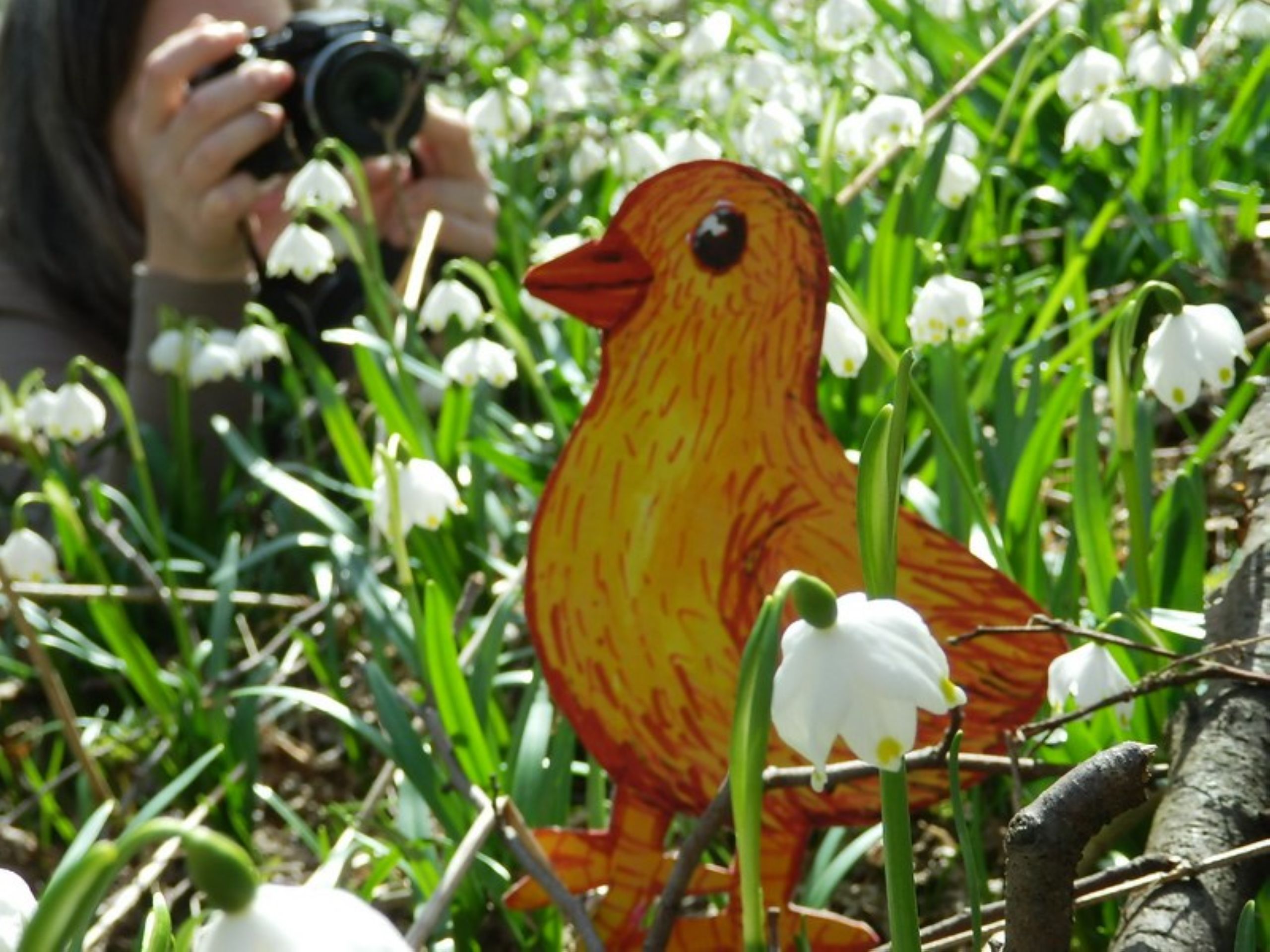 Martin Mag - Photography