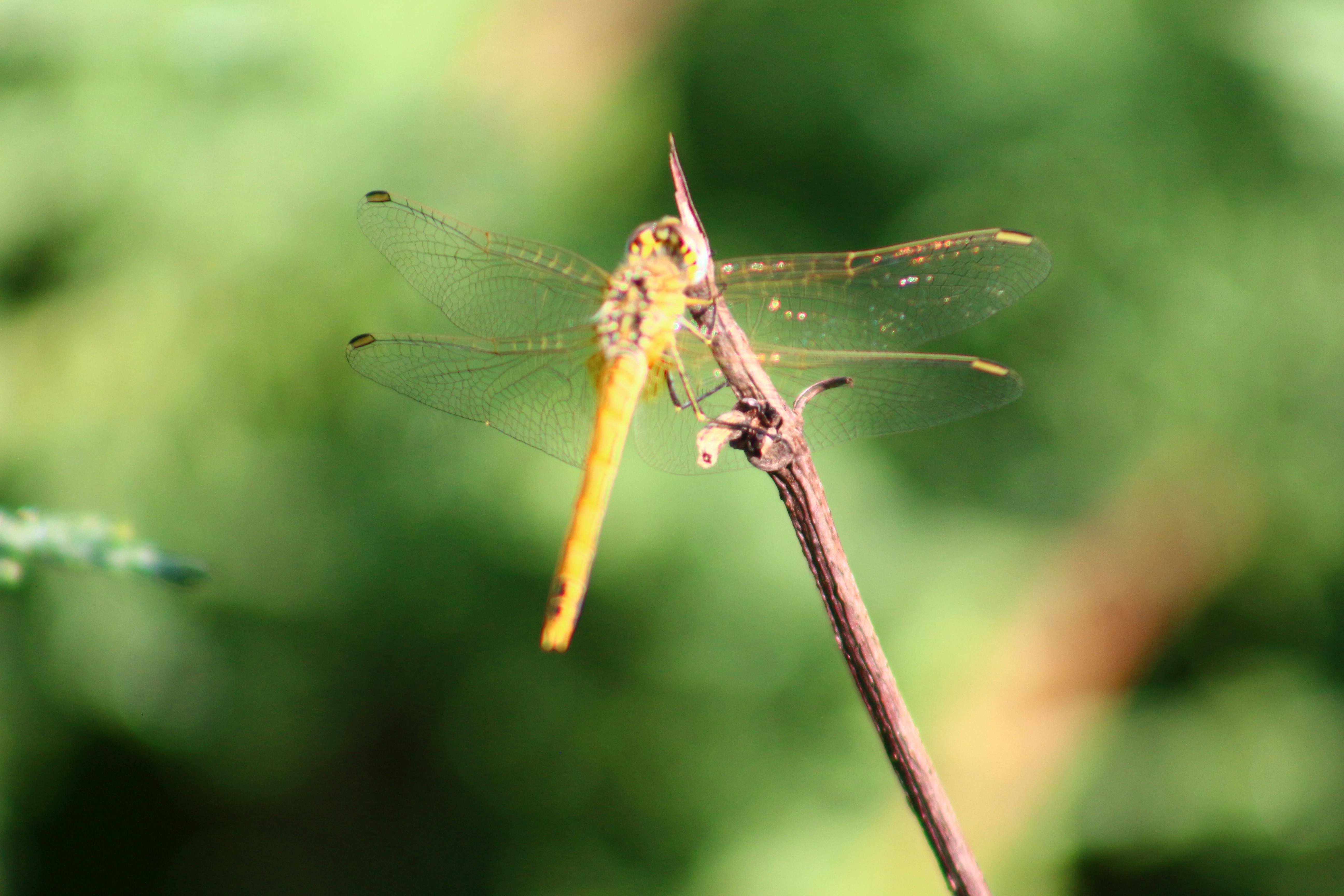 Musacan Eruygur - Photography