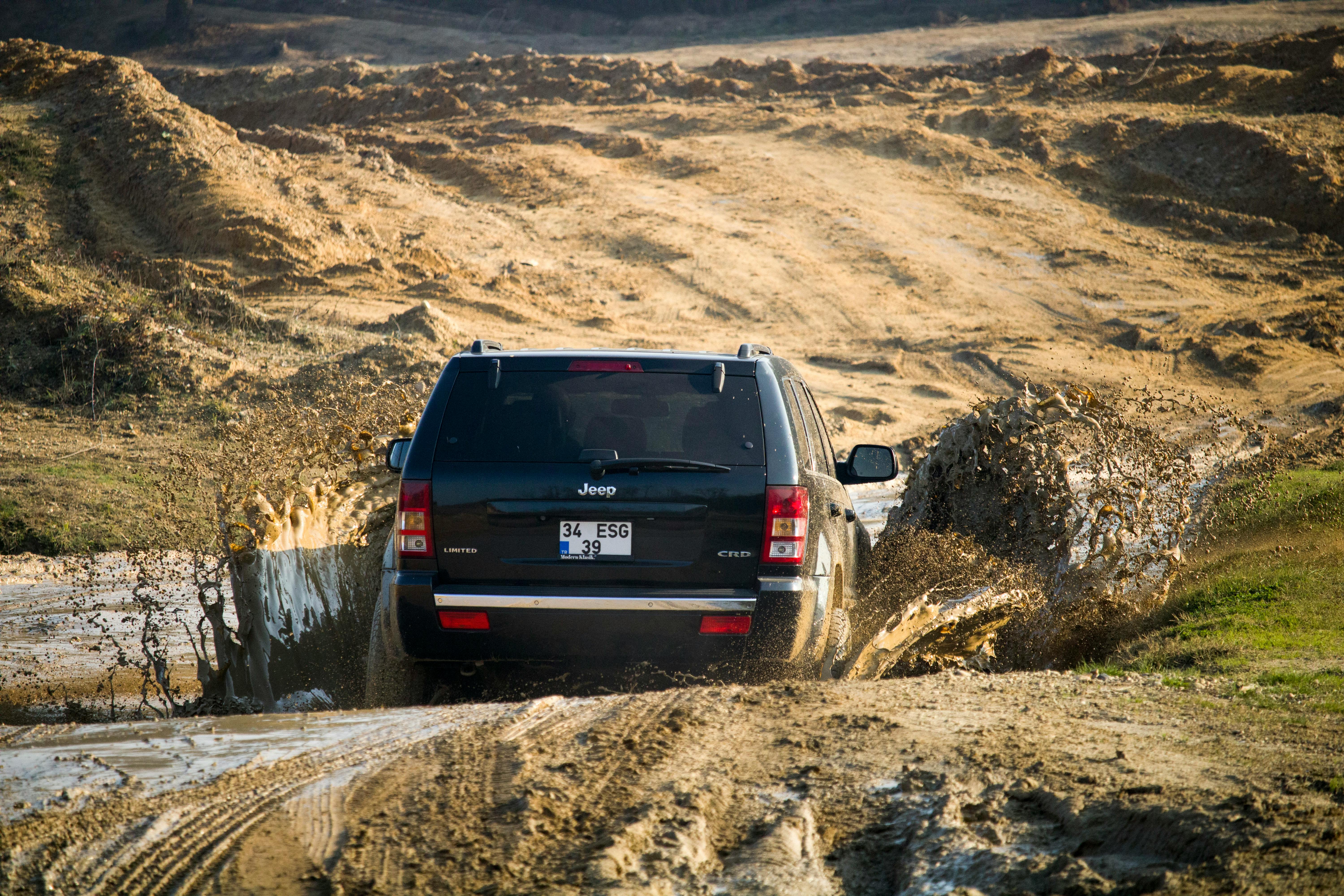 Blue Car on Dirt Road Between Green Leaf Trees · Free Stock Photo