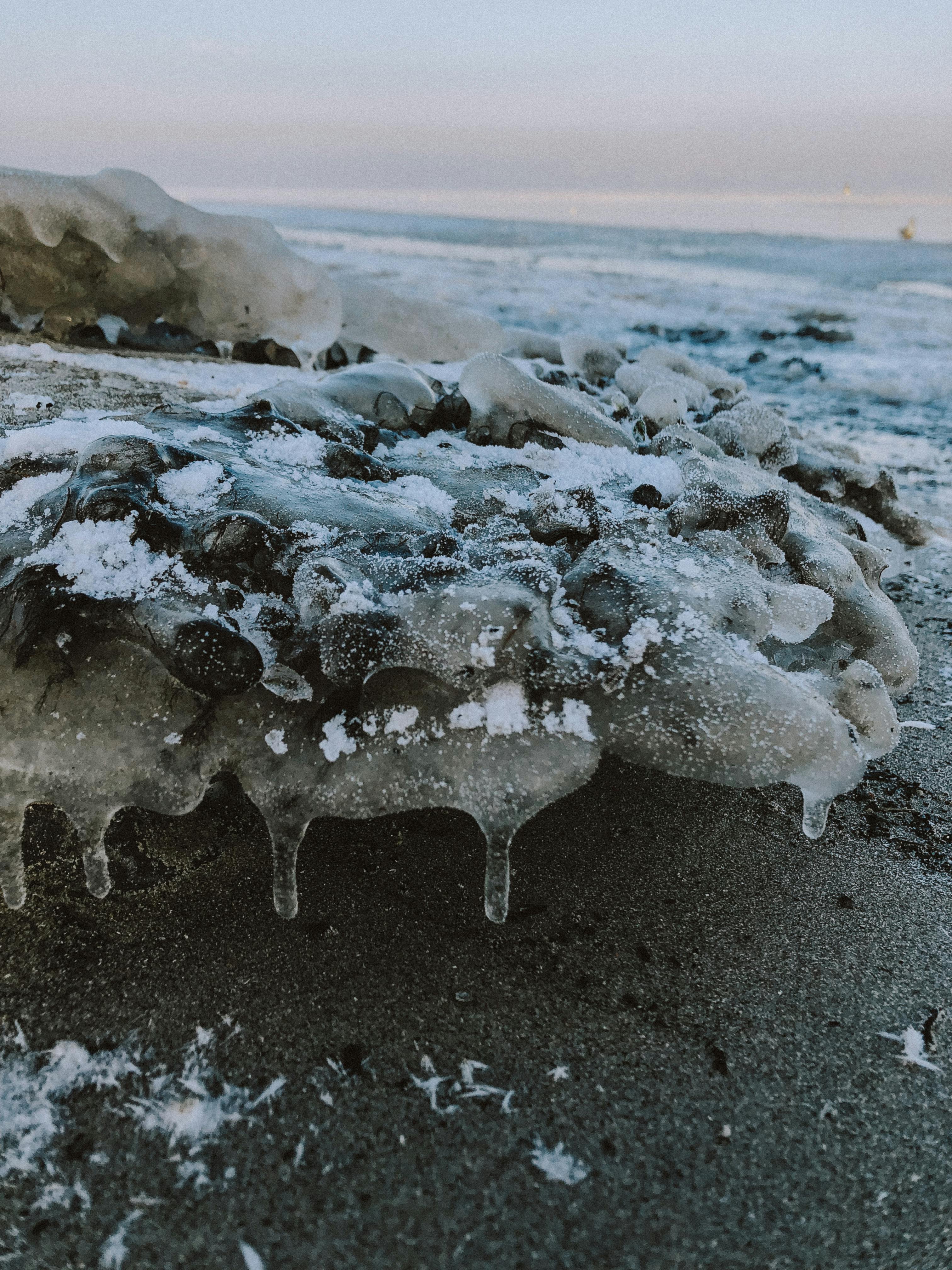 A rock covered in ice on the beach · Free Stock Photo