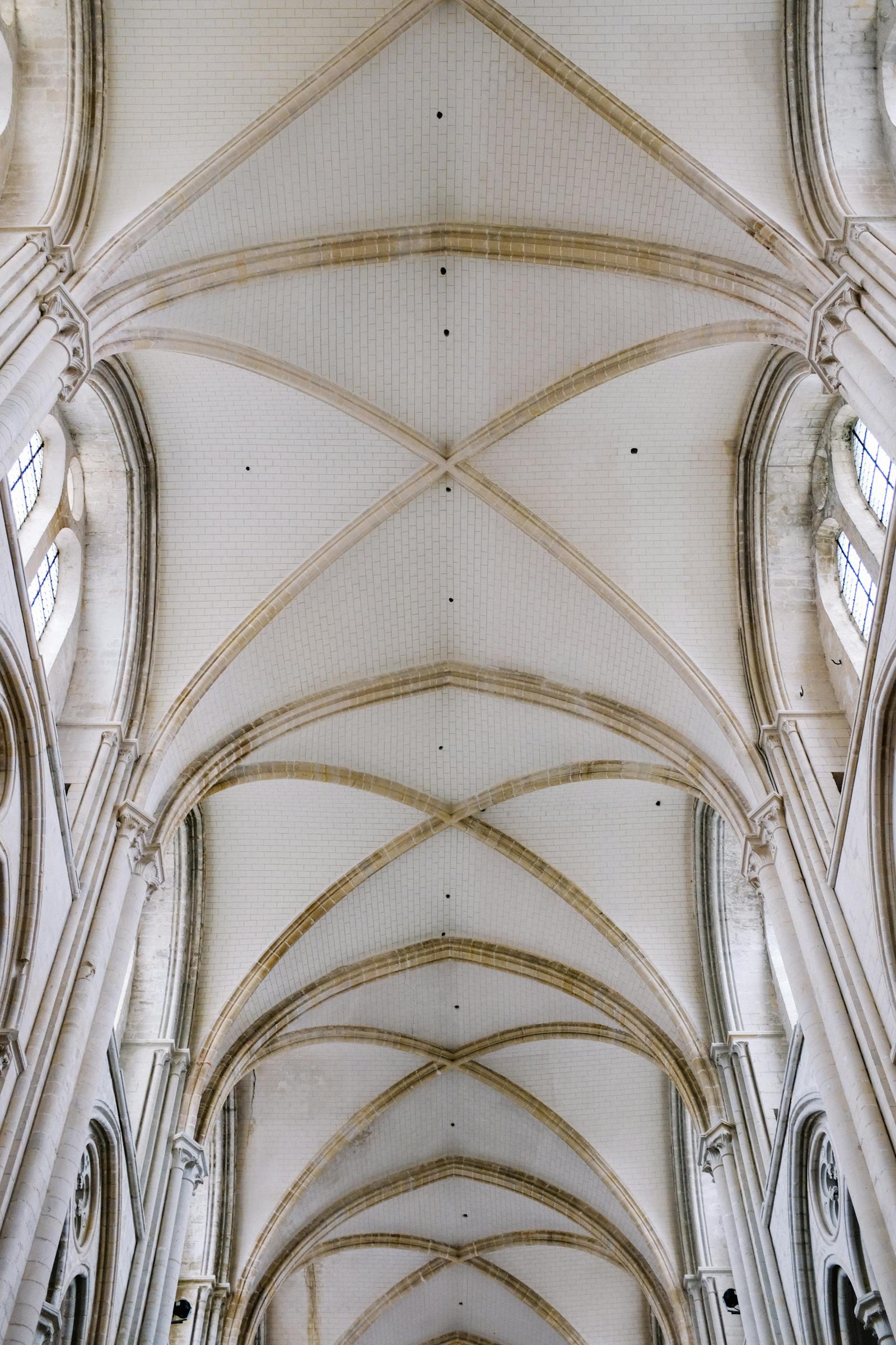 Rib Vault Photos, Download The BEST Free Rib Vault Stock Photos & HD Images