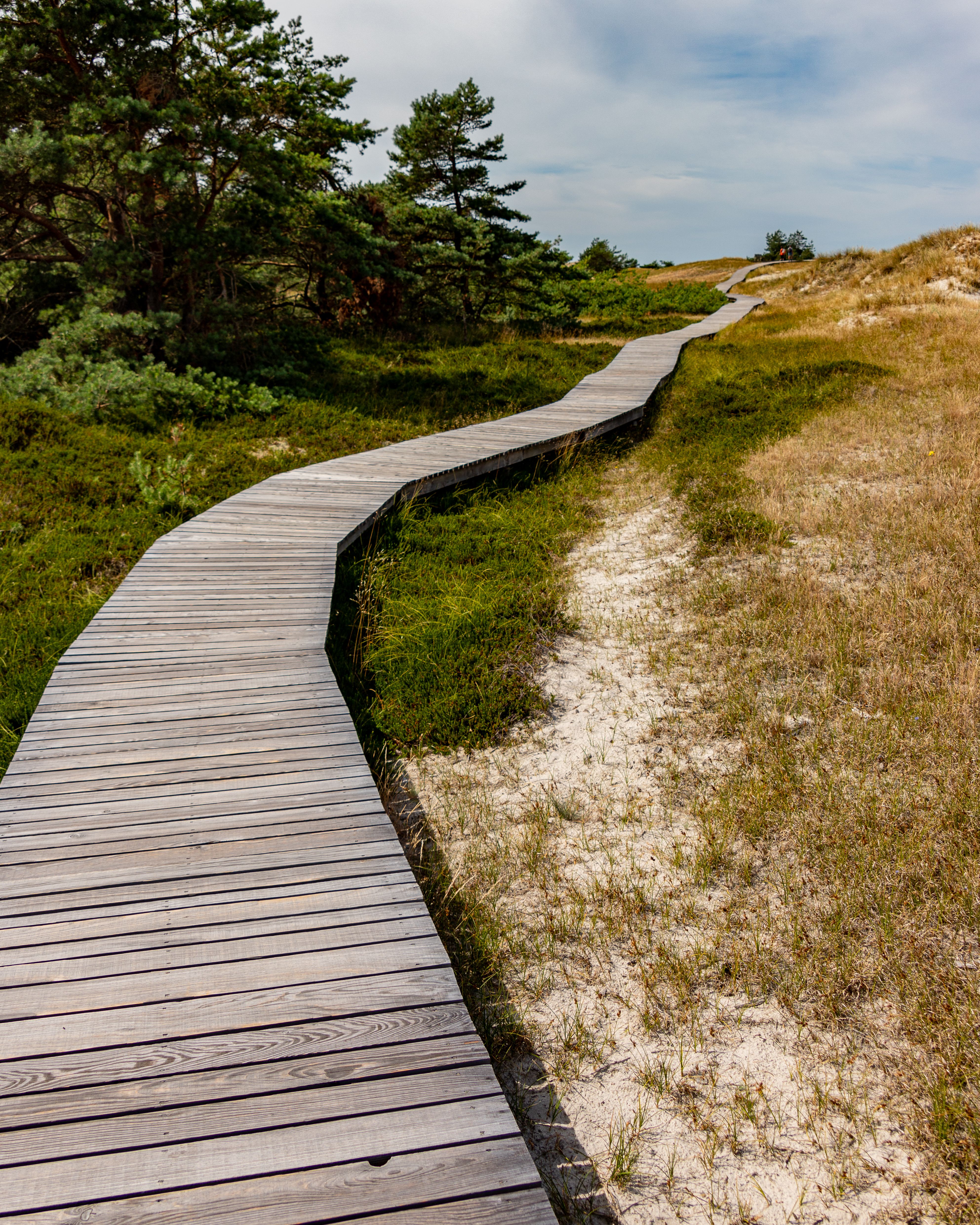 Wooden Boardwalk on Dune · Free Stock Photo