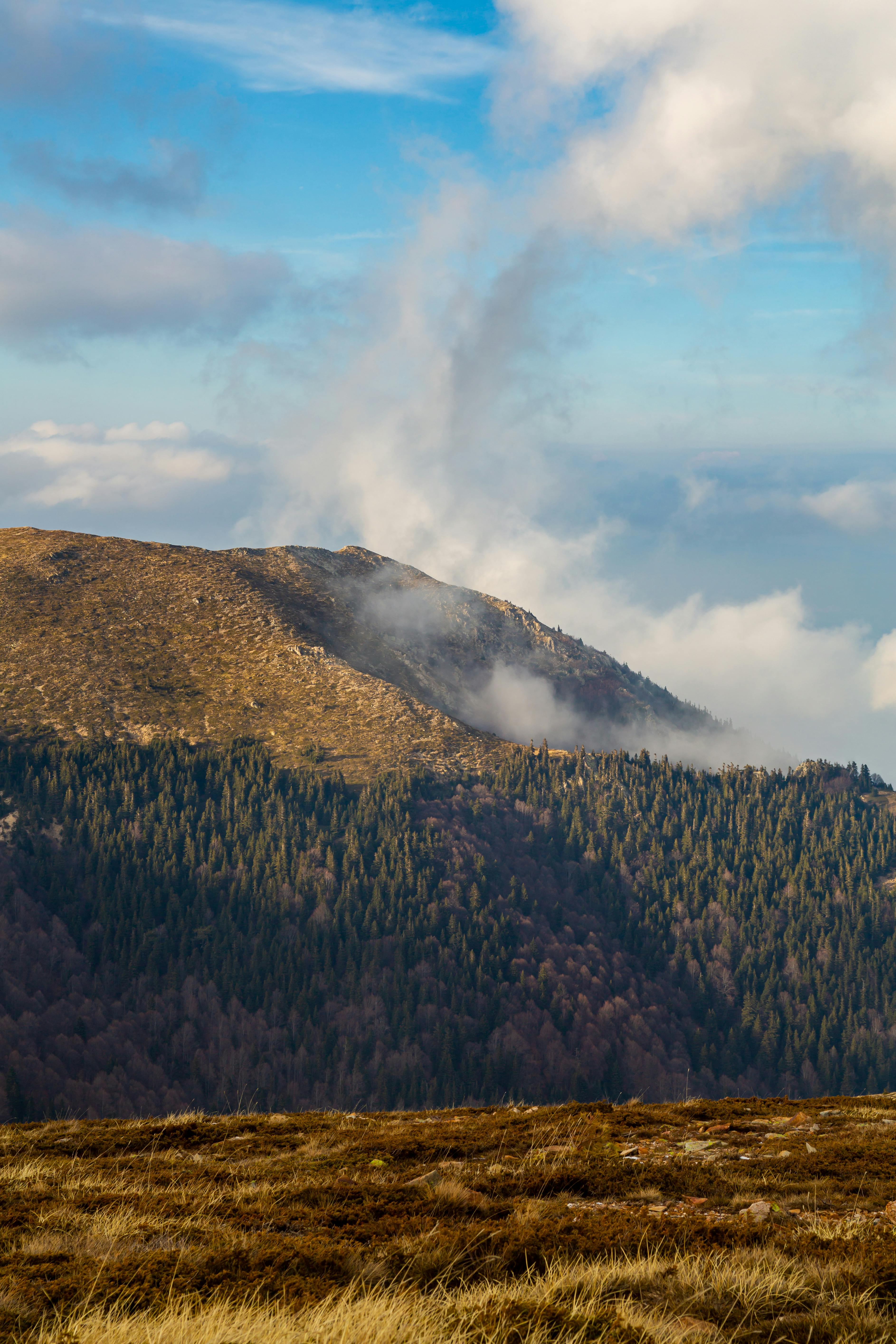 Forest Mountain Photos, Download The BEST Free Forest Mountain Stock ...