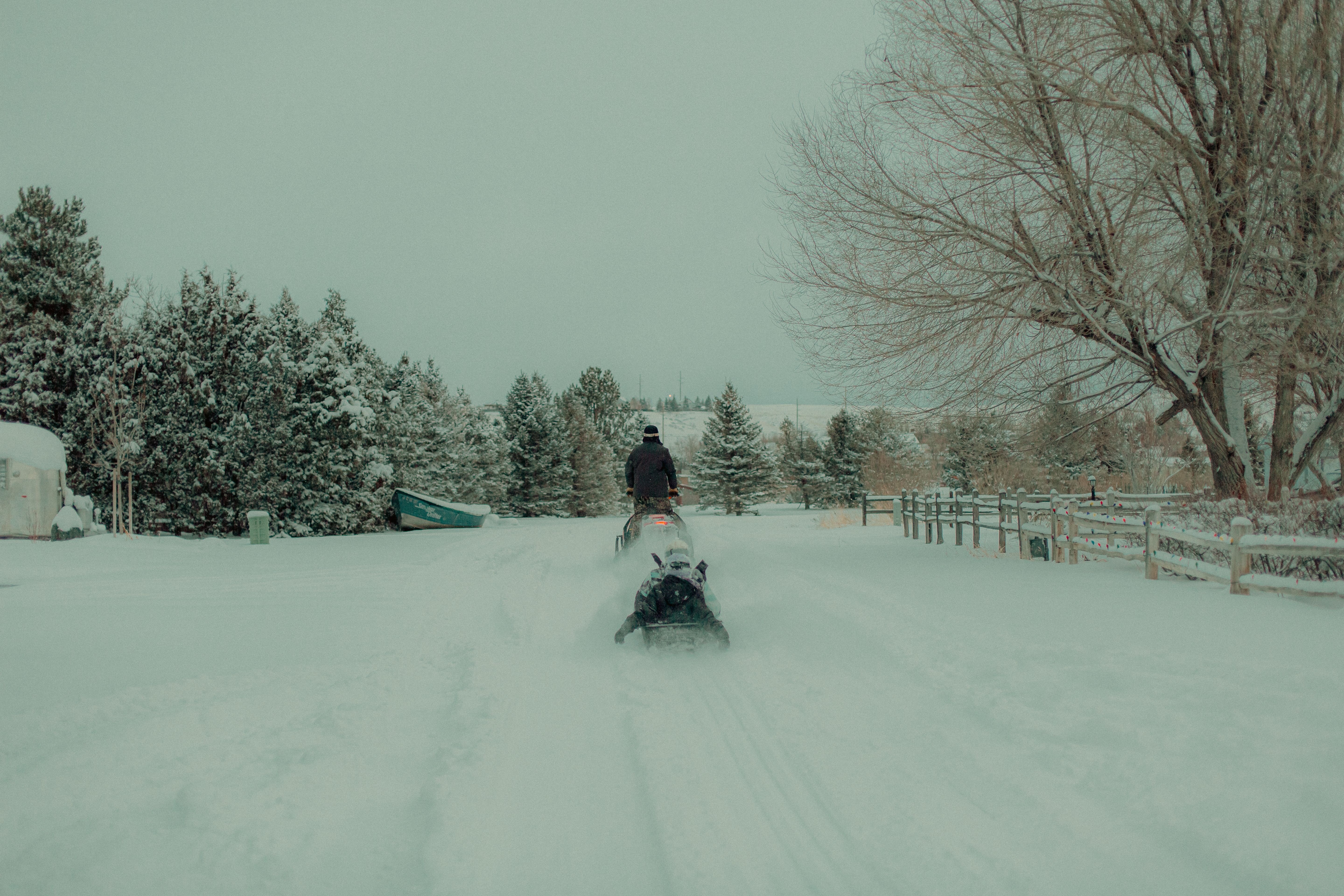 Sled Riding in Winter · Free Stock Photo