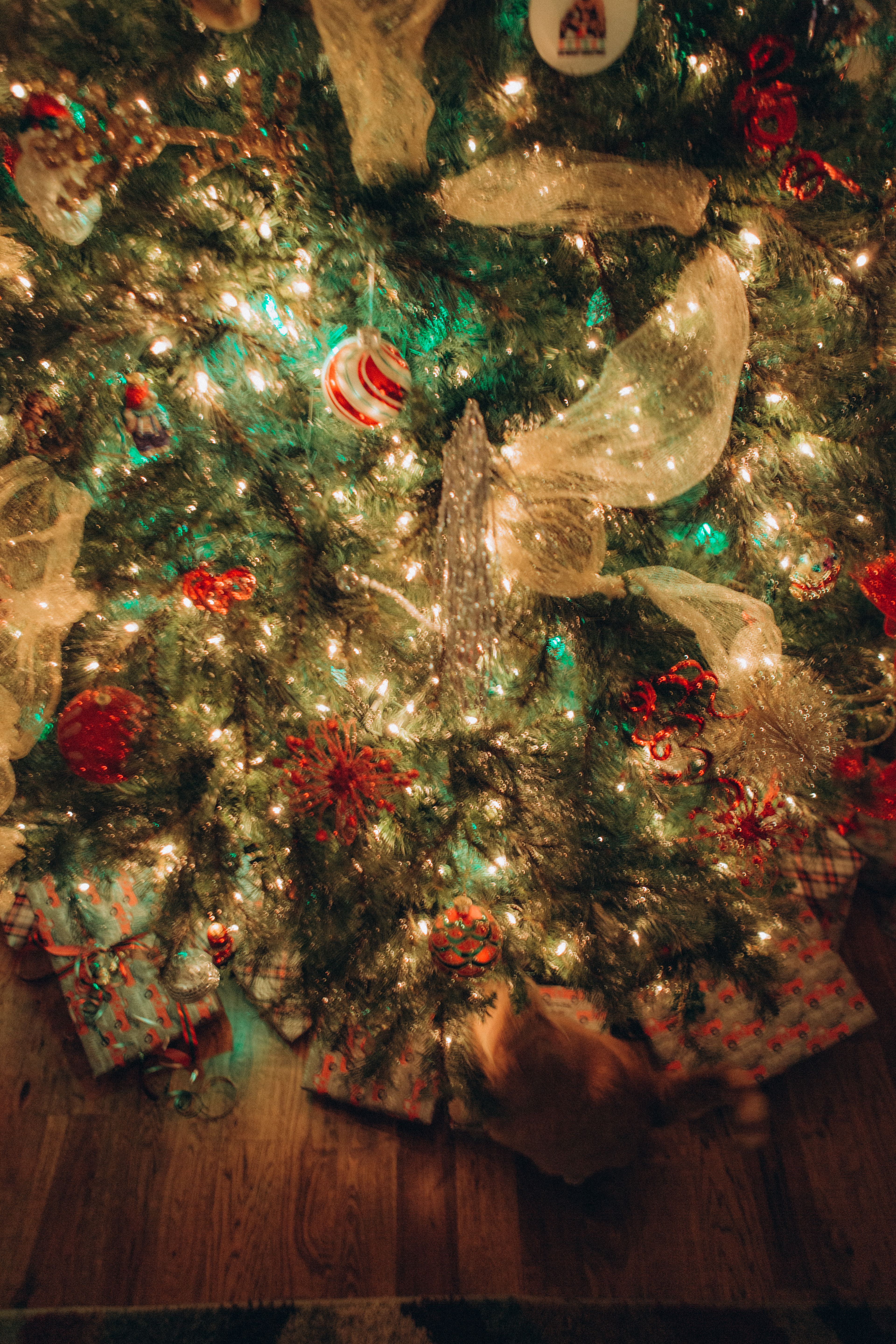 Christmas Decorations · Free Stock Photo