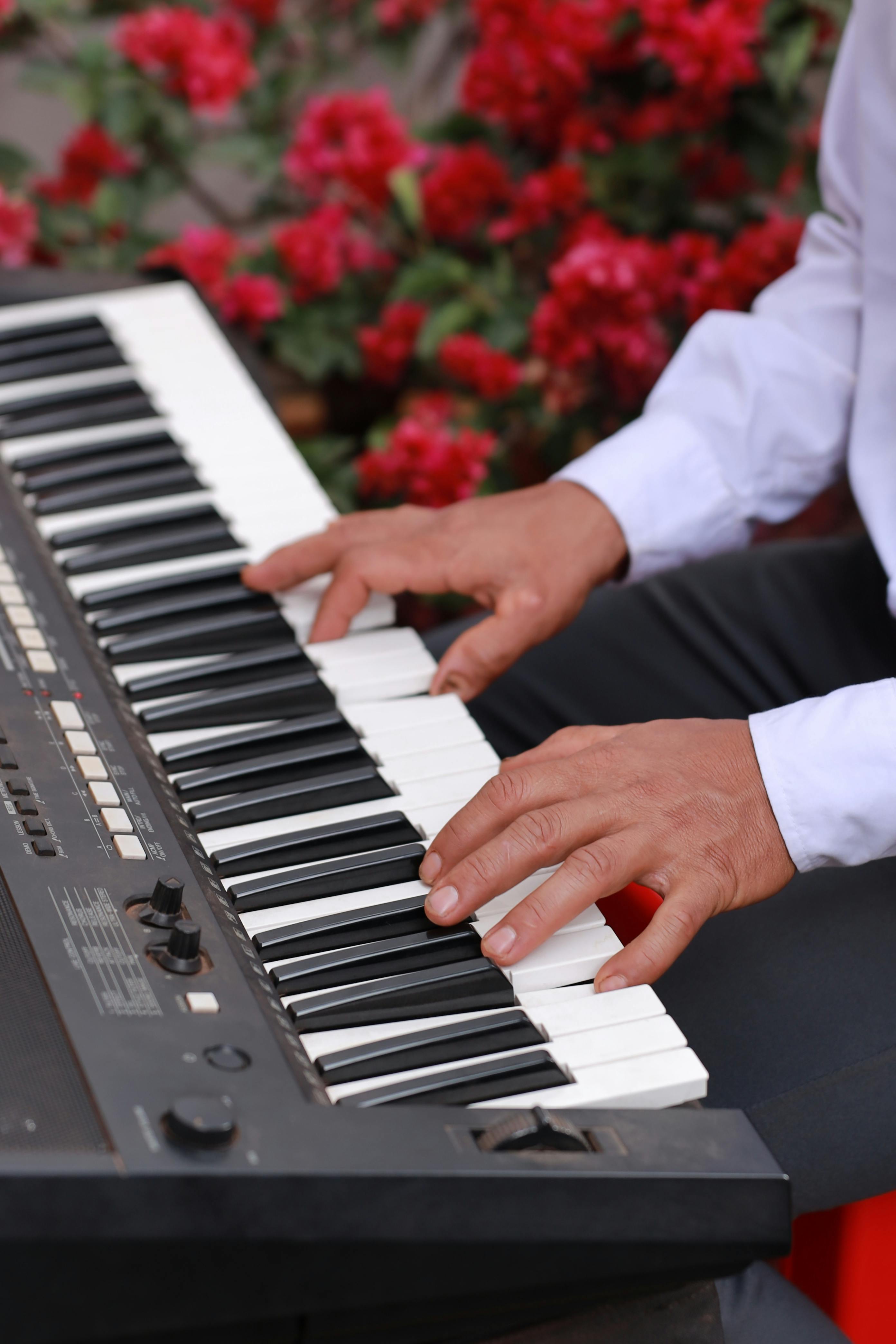 A Person Playing the Keyboard · Free Stock Photo