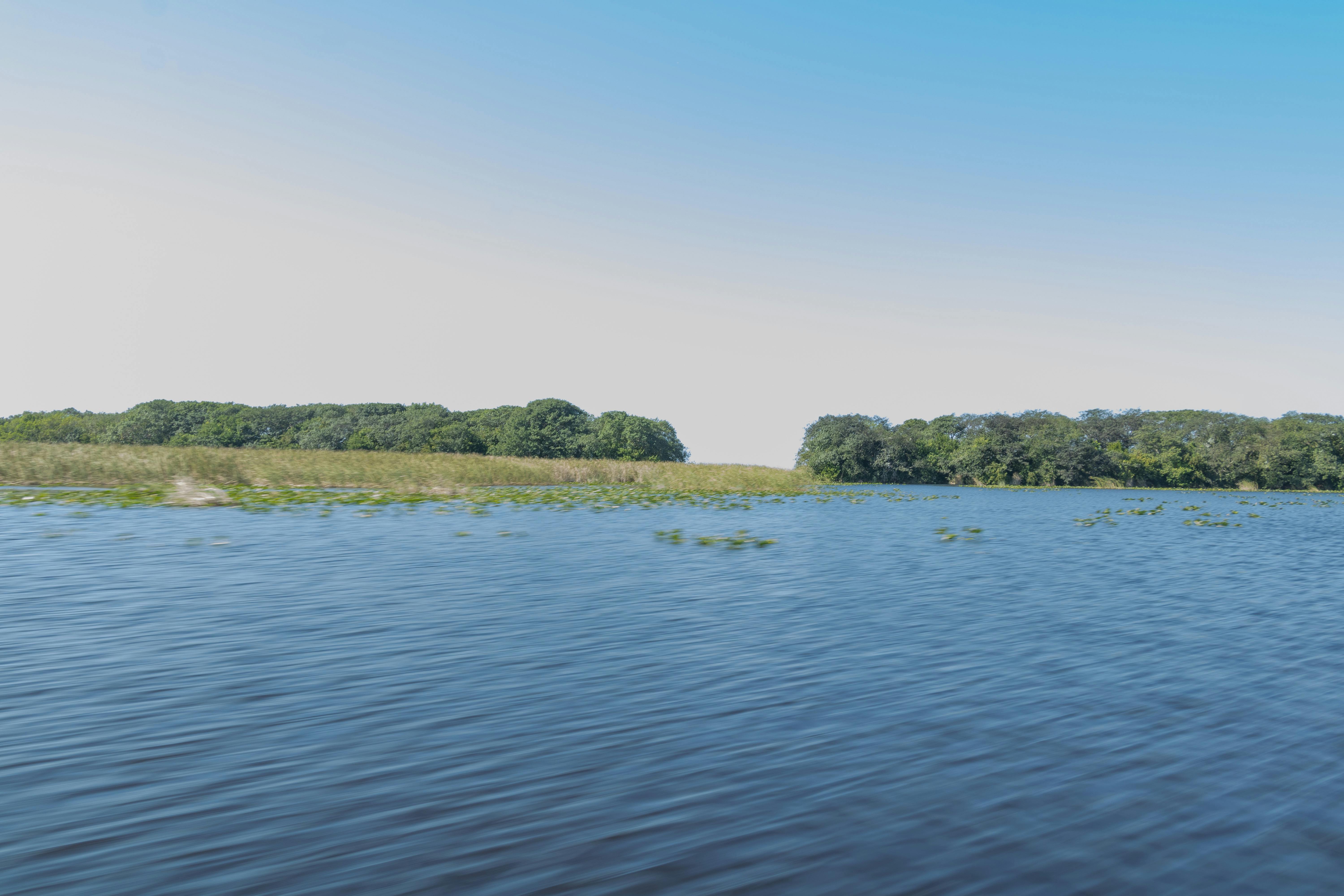 Everglades, Florida 18 Photos & Videos Collected by Tom Forrest