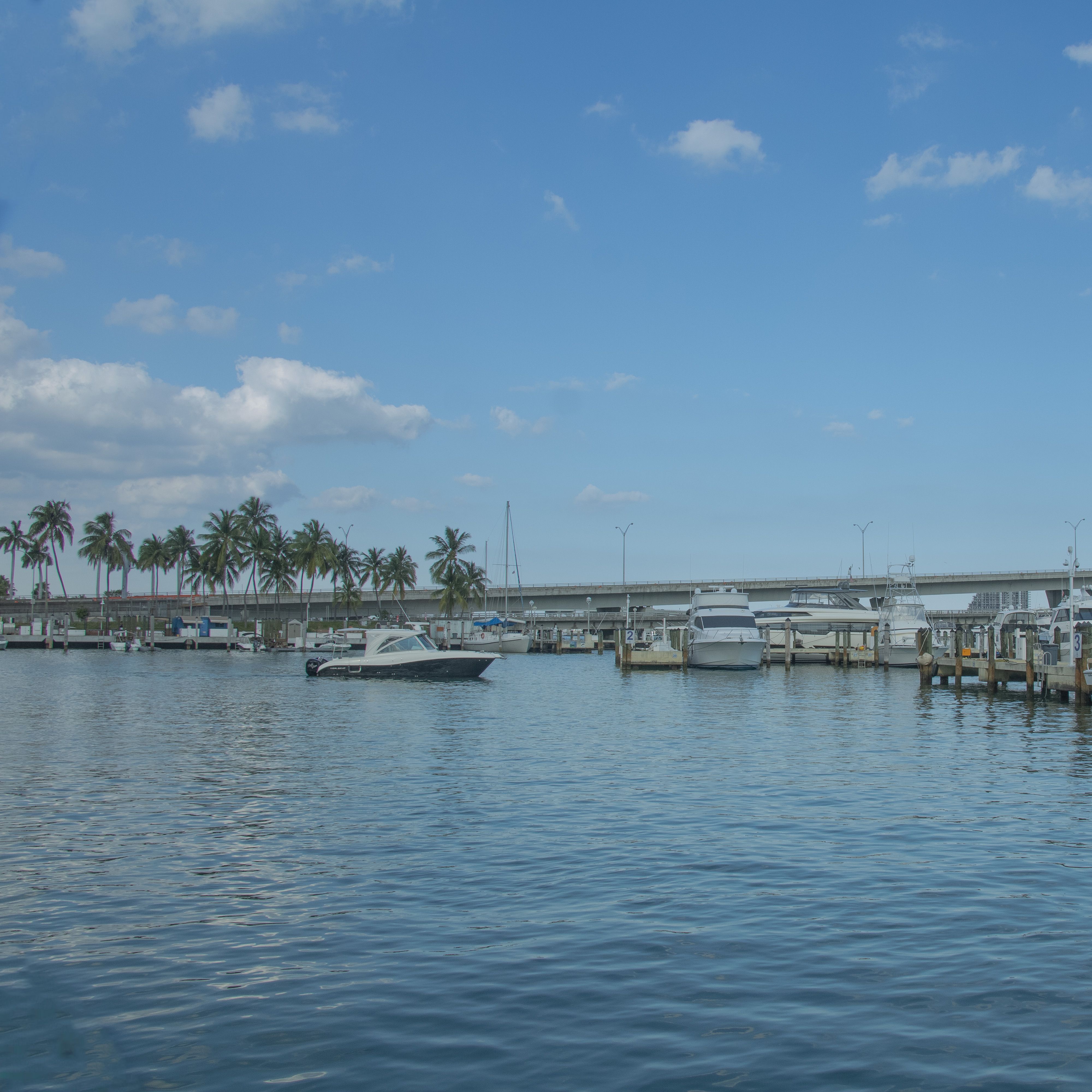 White Boats on Dock · Free Stock Photo