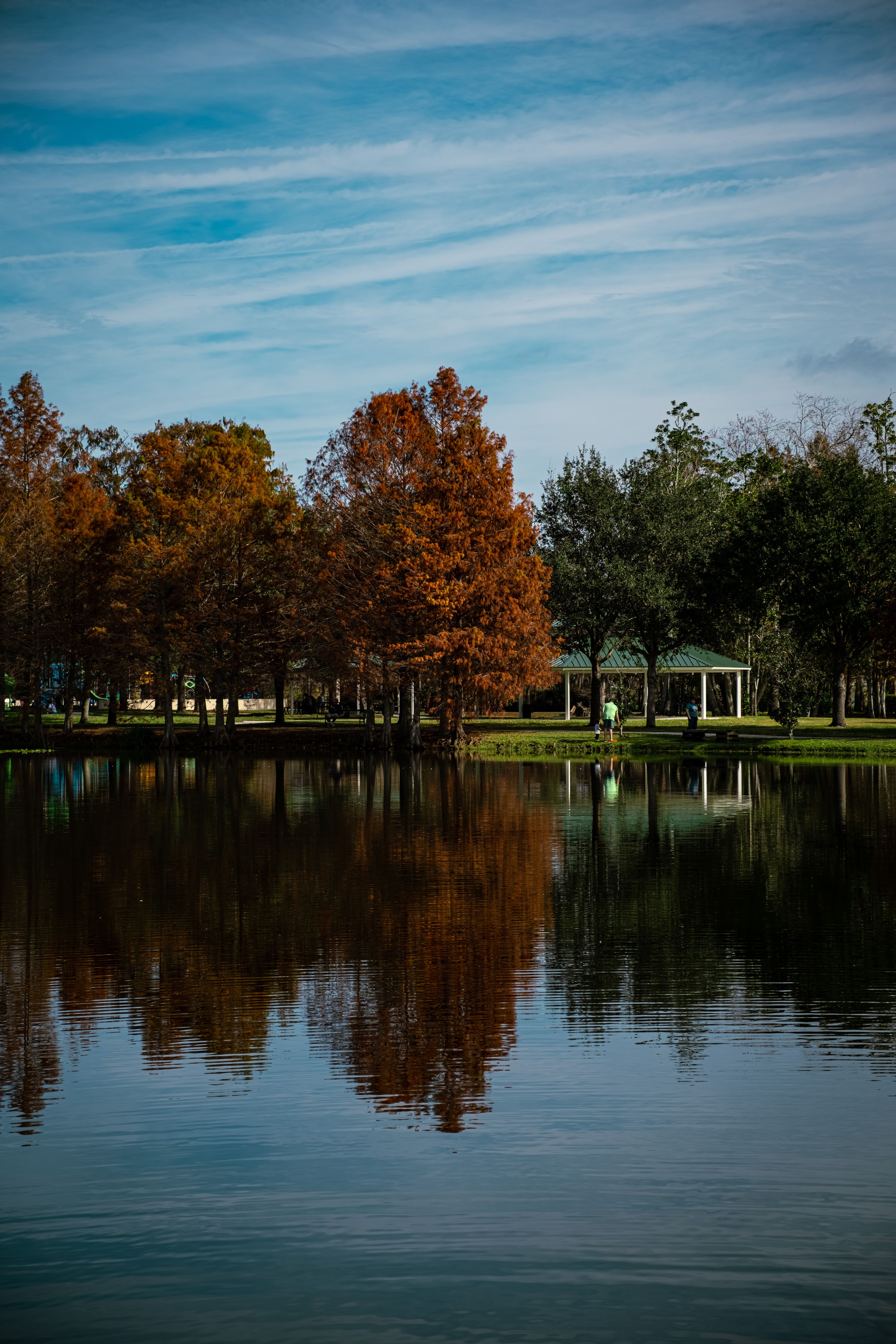 River Reflection of Trees in Autumn · Free Stock Photo