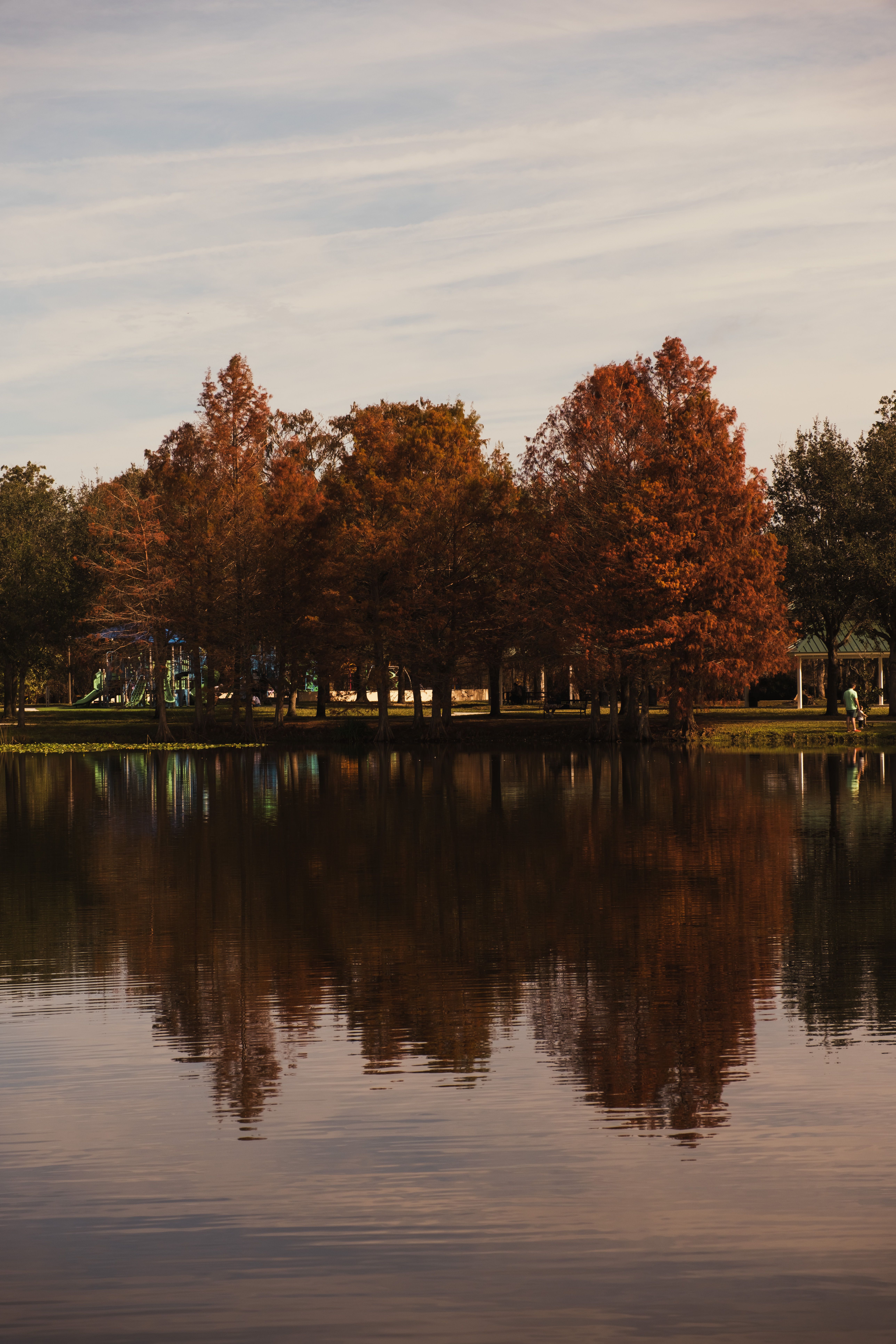 River Reflection of Trees in Autumn · Free Stock Photo