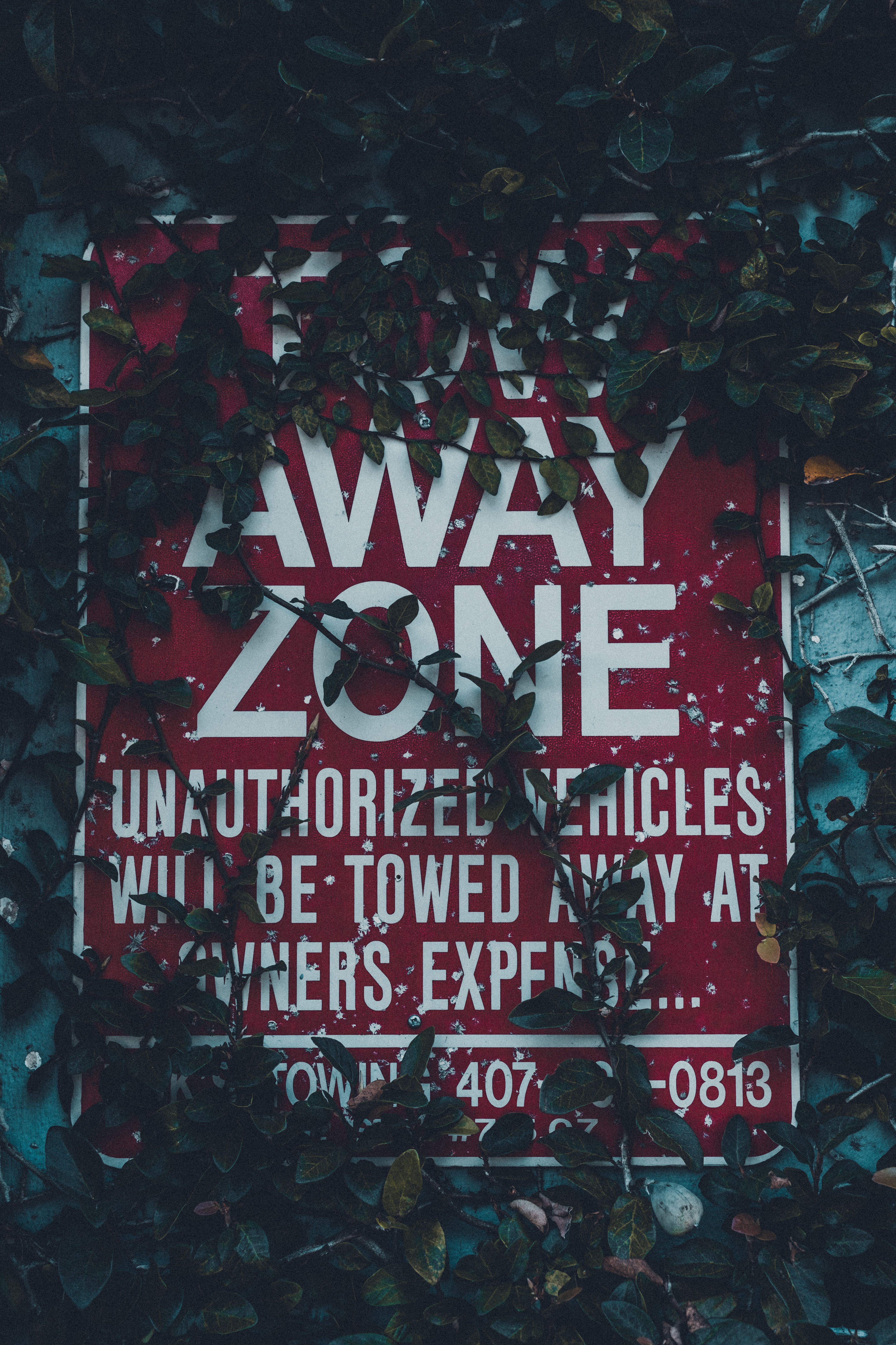 Warning Sign Overgrown with Ivy Vines · Free Stock Photo