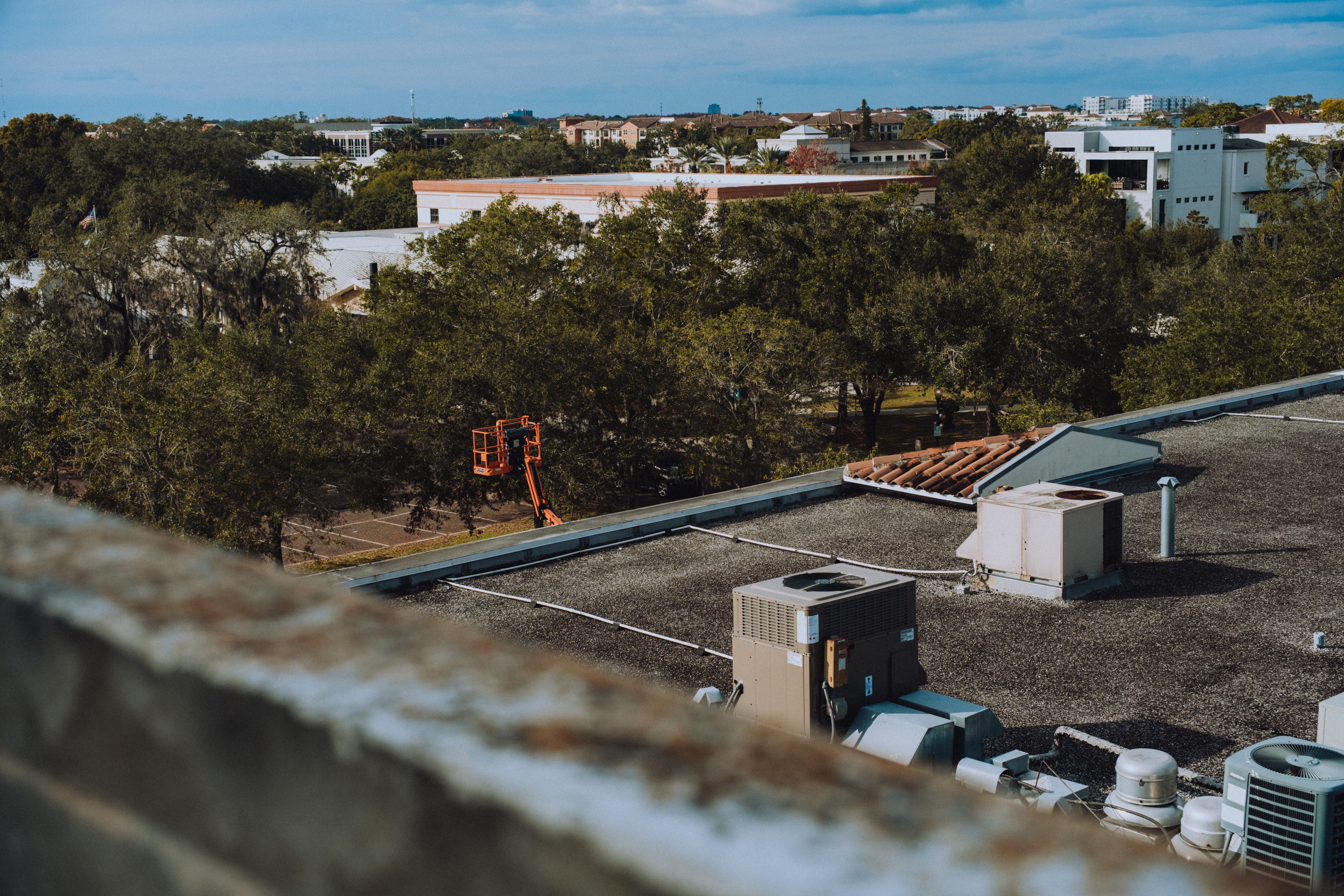Trees Seen from Roof of Building · Free Stock Photo