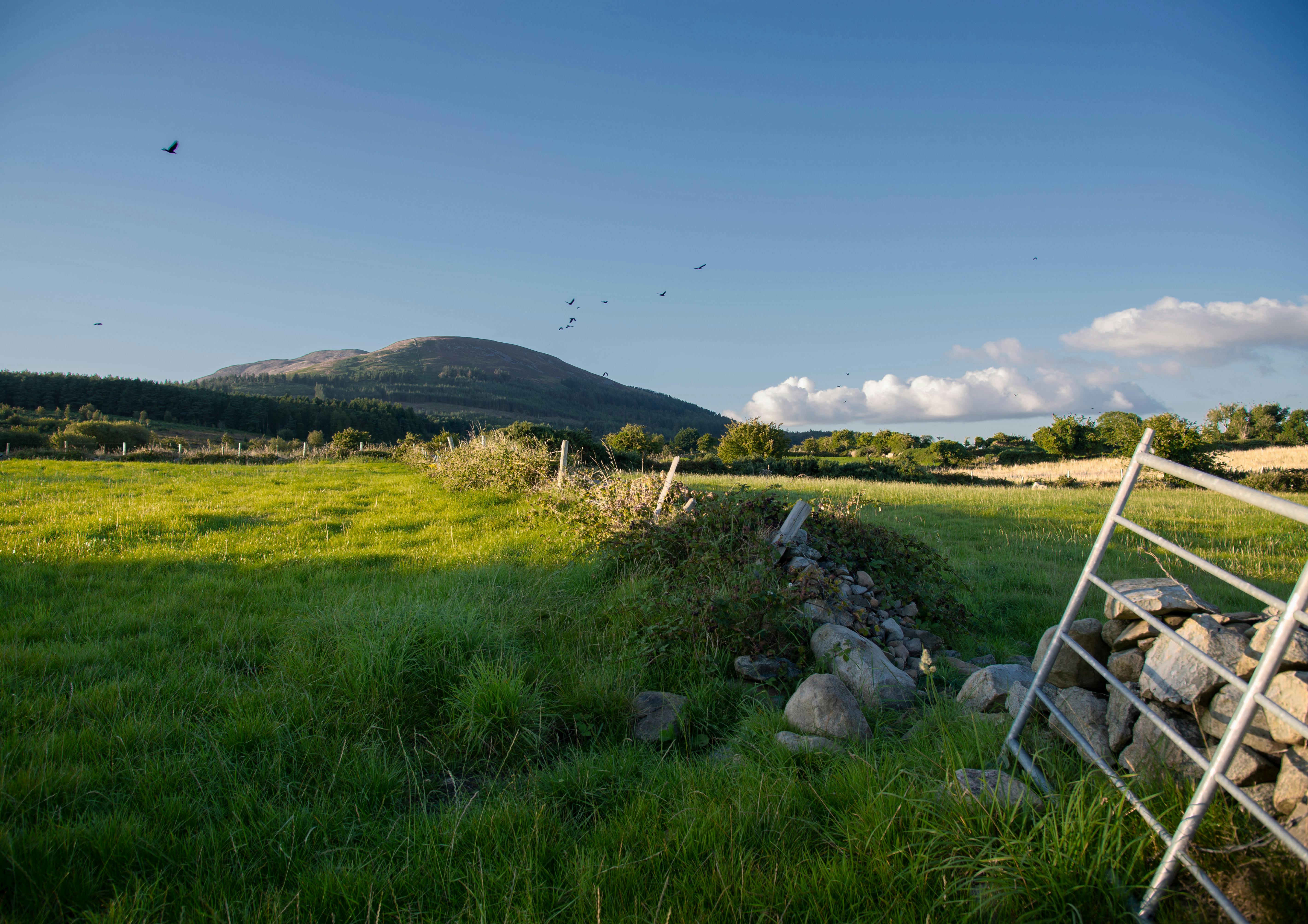 Slieve Gullion Under Blue Sky · Free Stock Photo