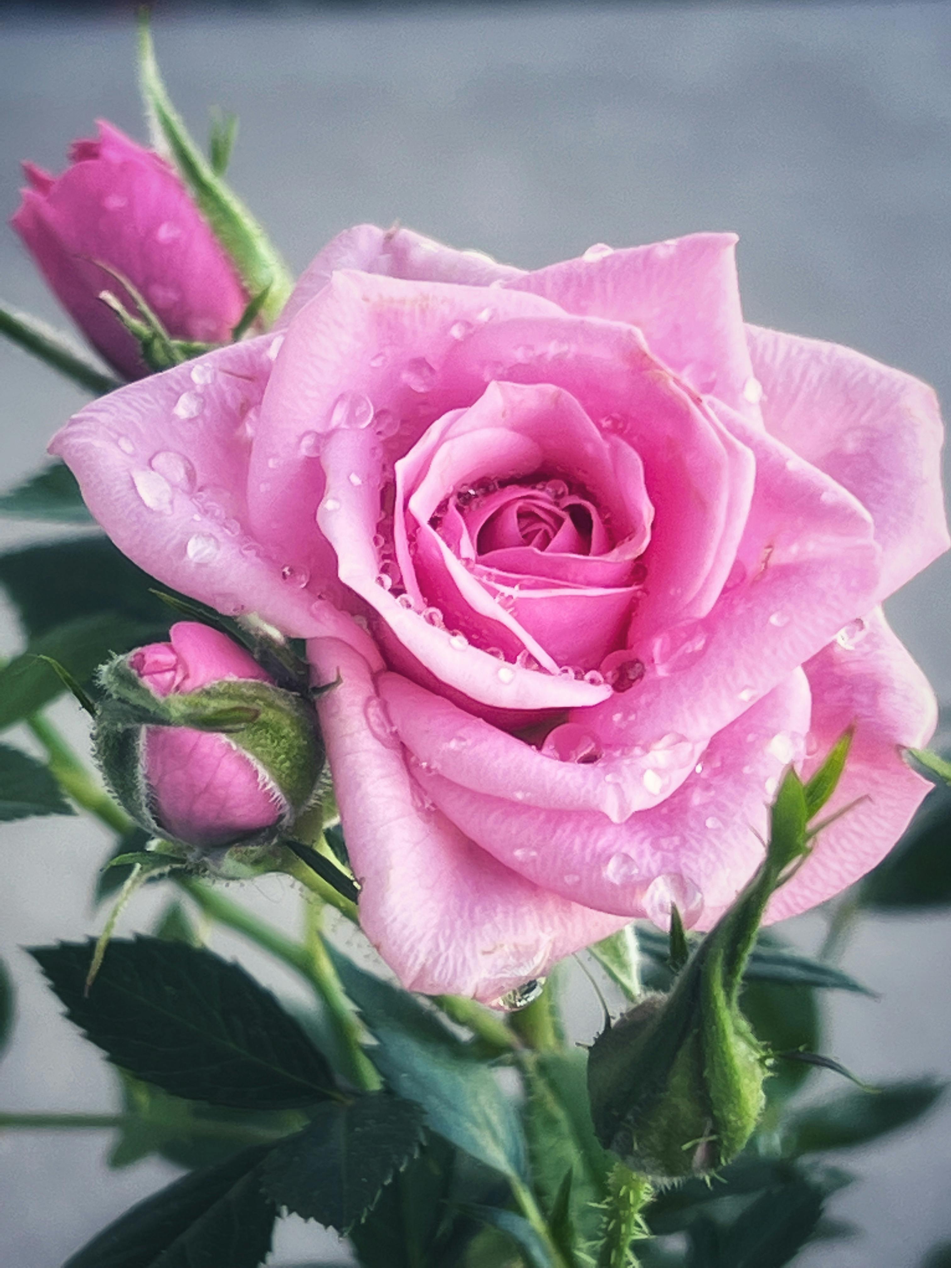 Nisarg Dave - Fotografie