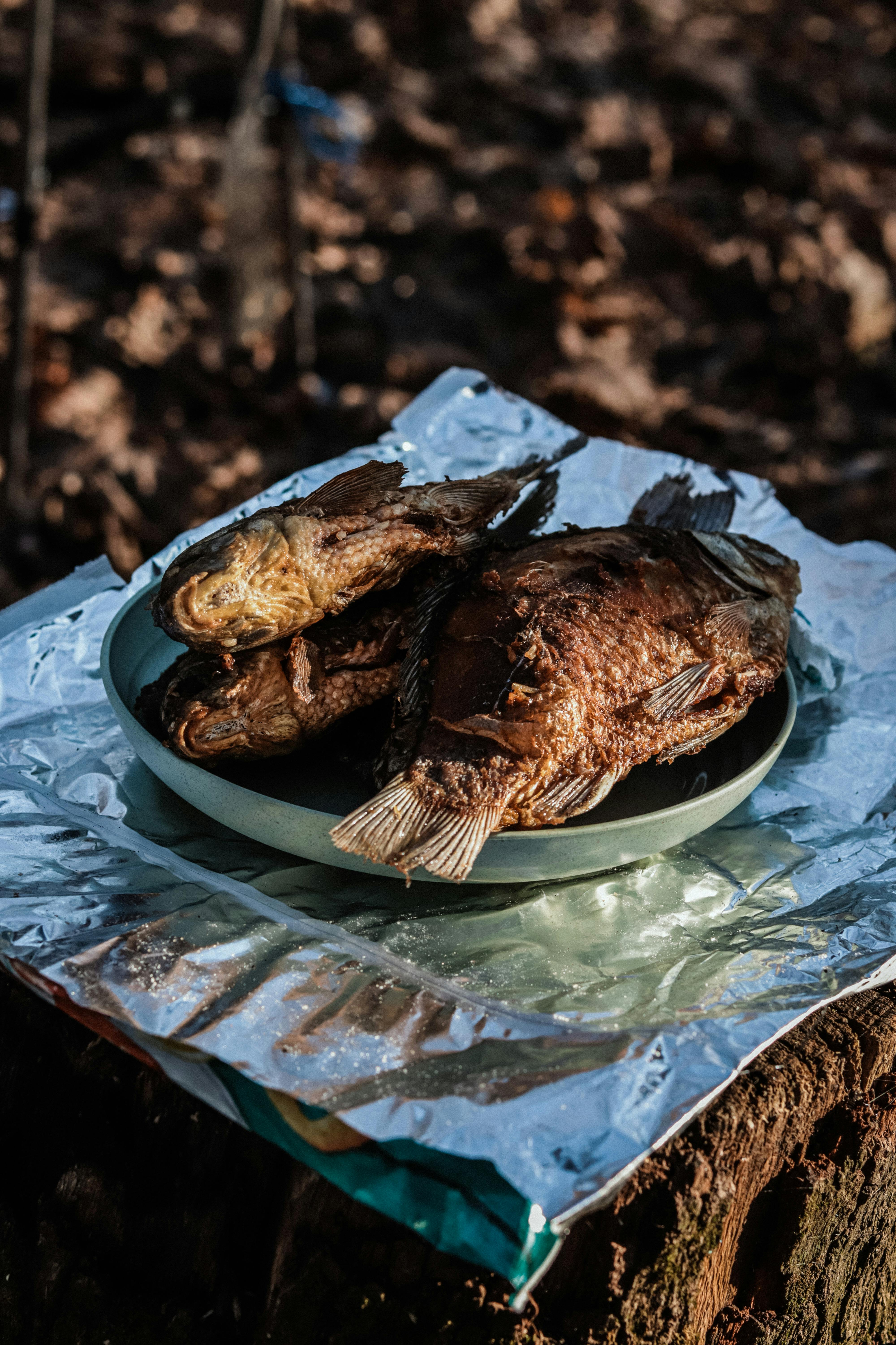 Fried Fish on Pan on Stump in Nature · Free Stock Photo