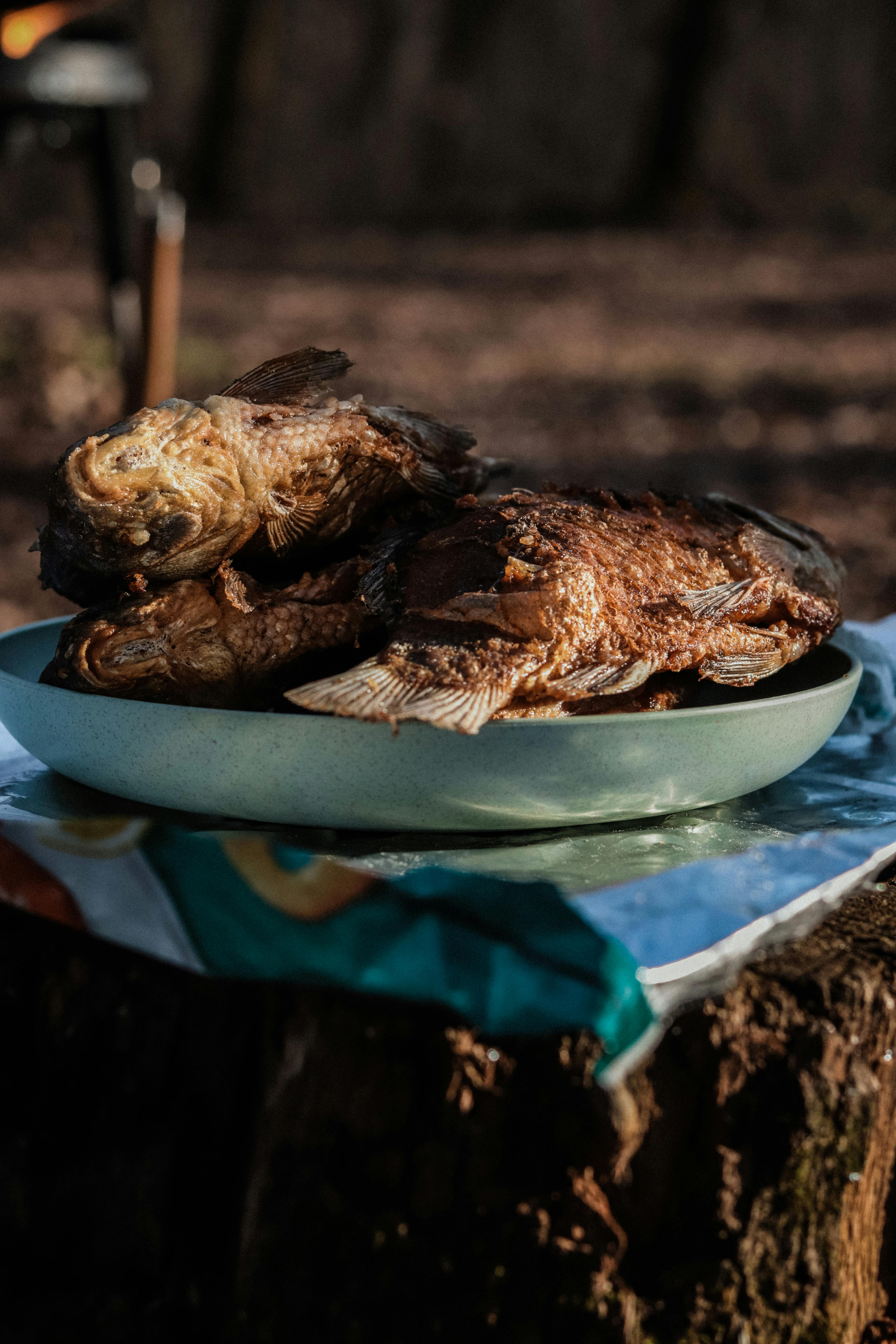 Fried Fish Photos, Download The BEST Free Fried Fish Stock Photos & HD ...