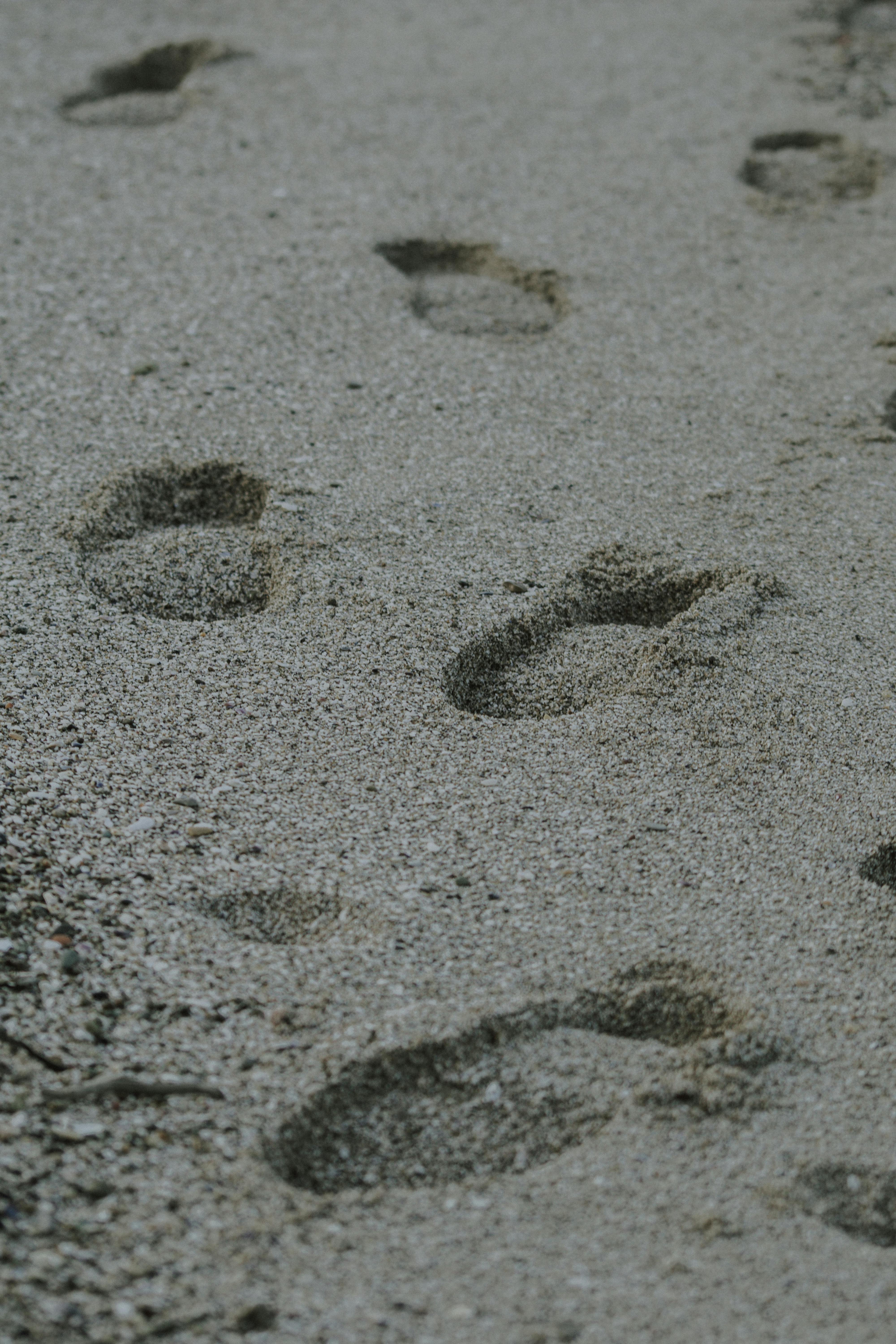 Footprint on Sand · Free Stock Photo