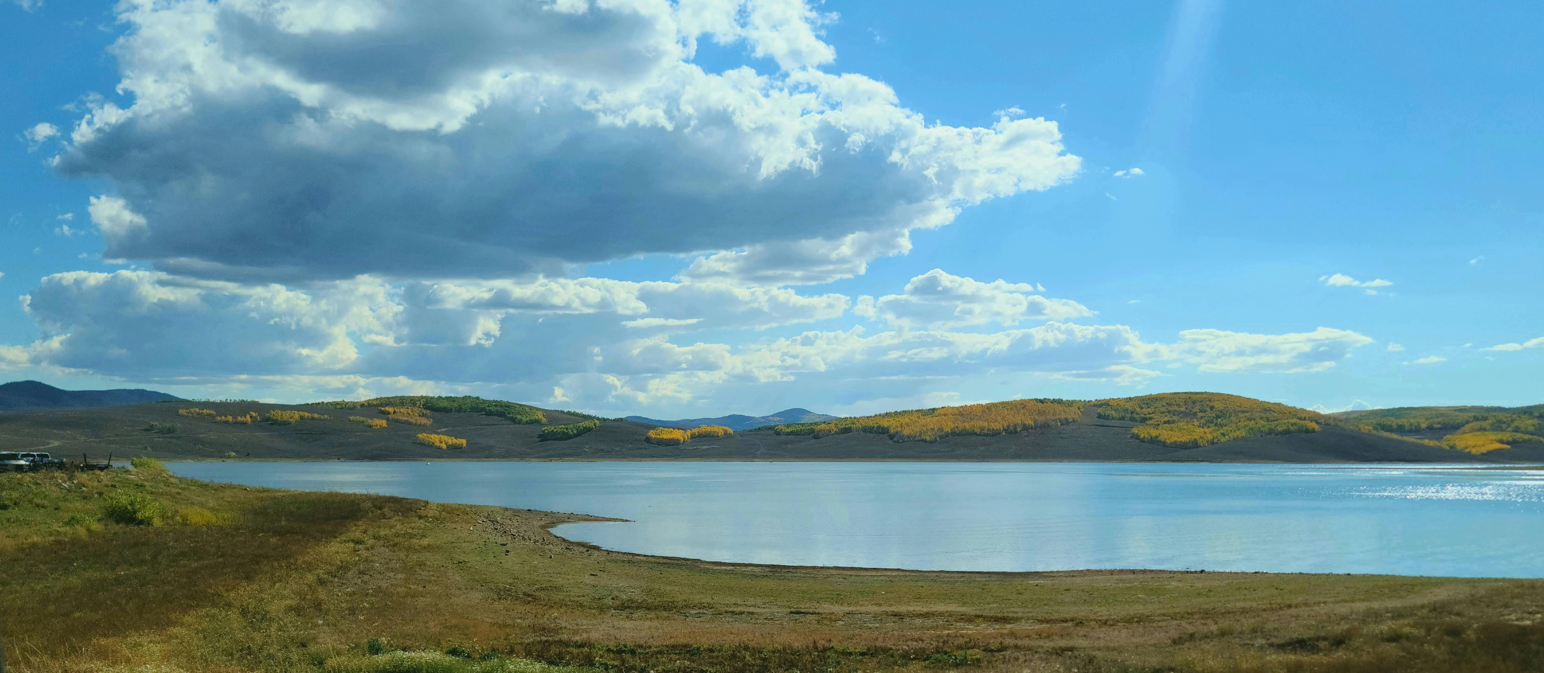 Heather Park - Fotografía