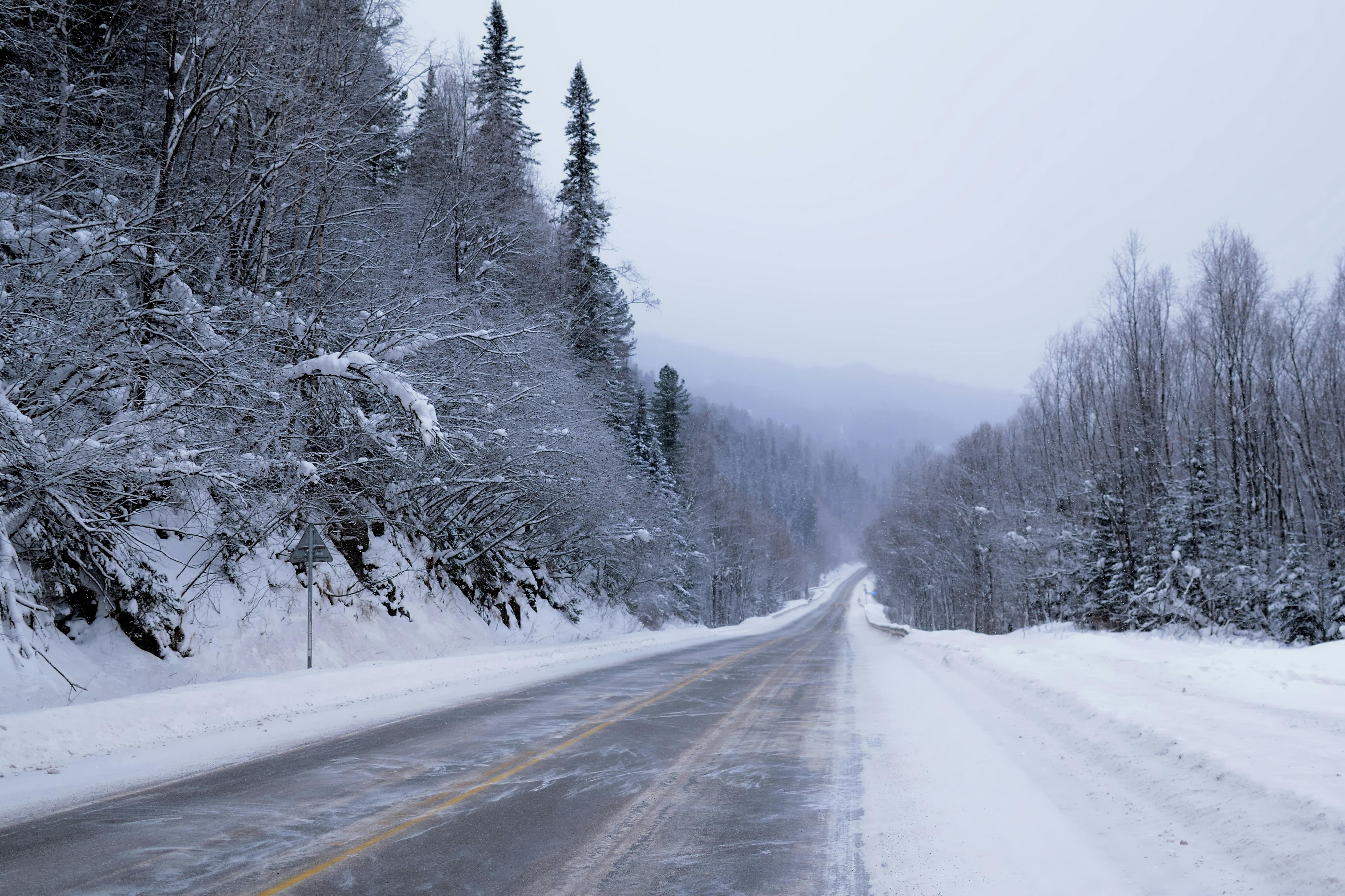 Empty Road During Winter · Free Stock Photo