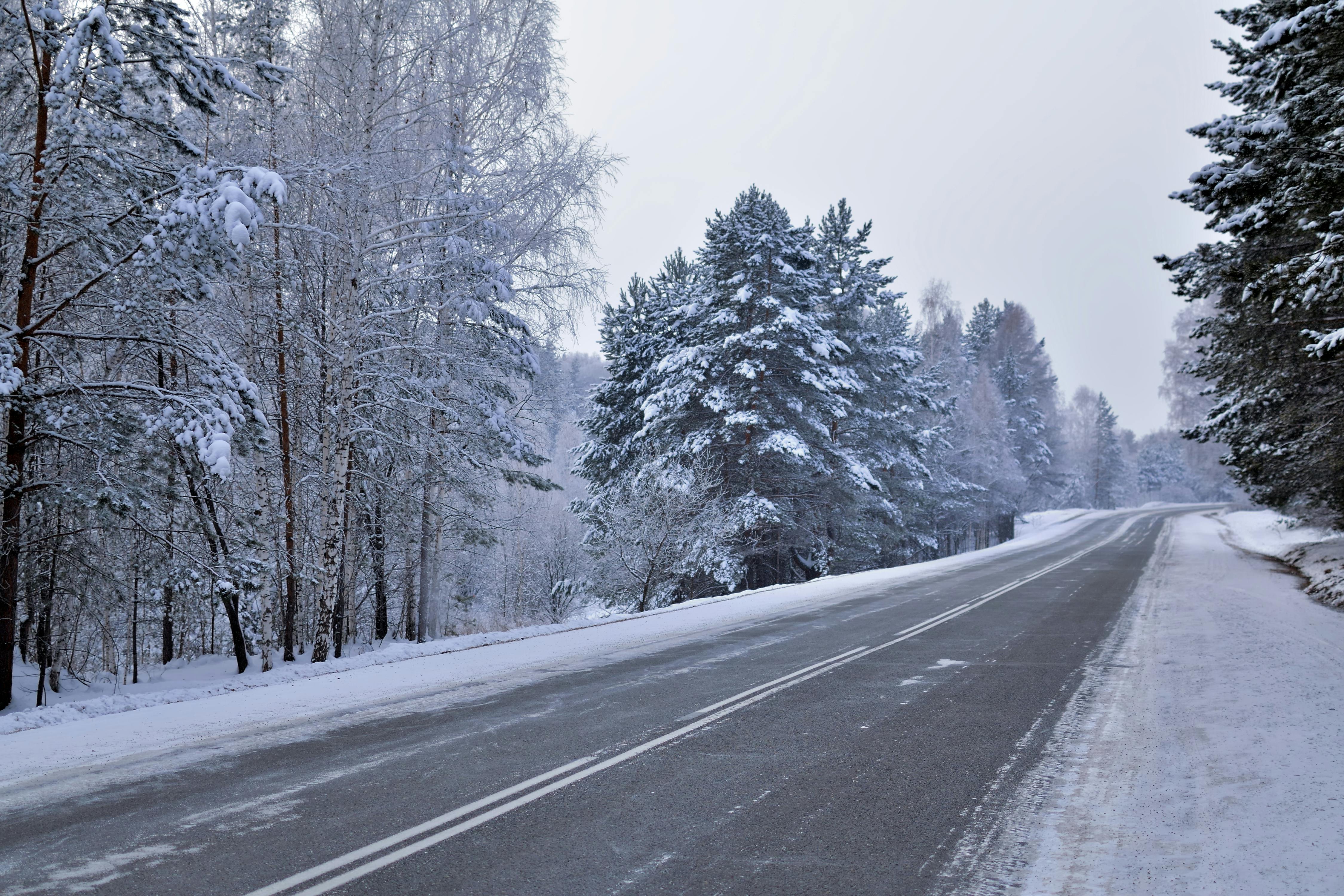 Road With Snow · Free Stock Photo
