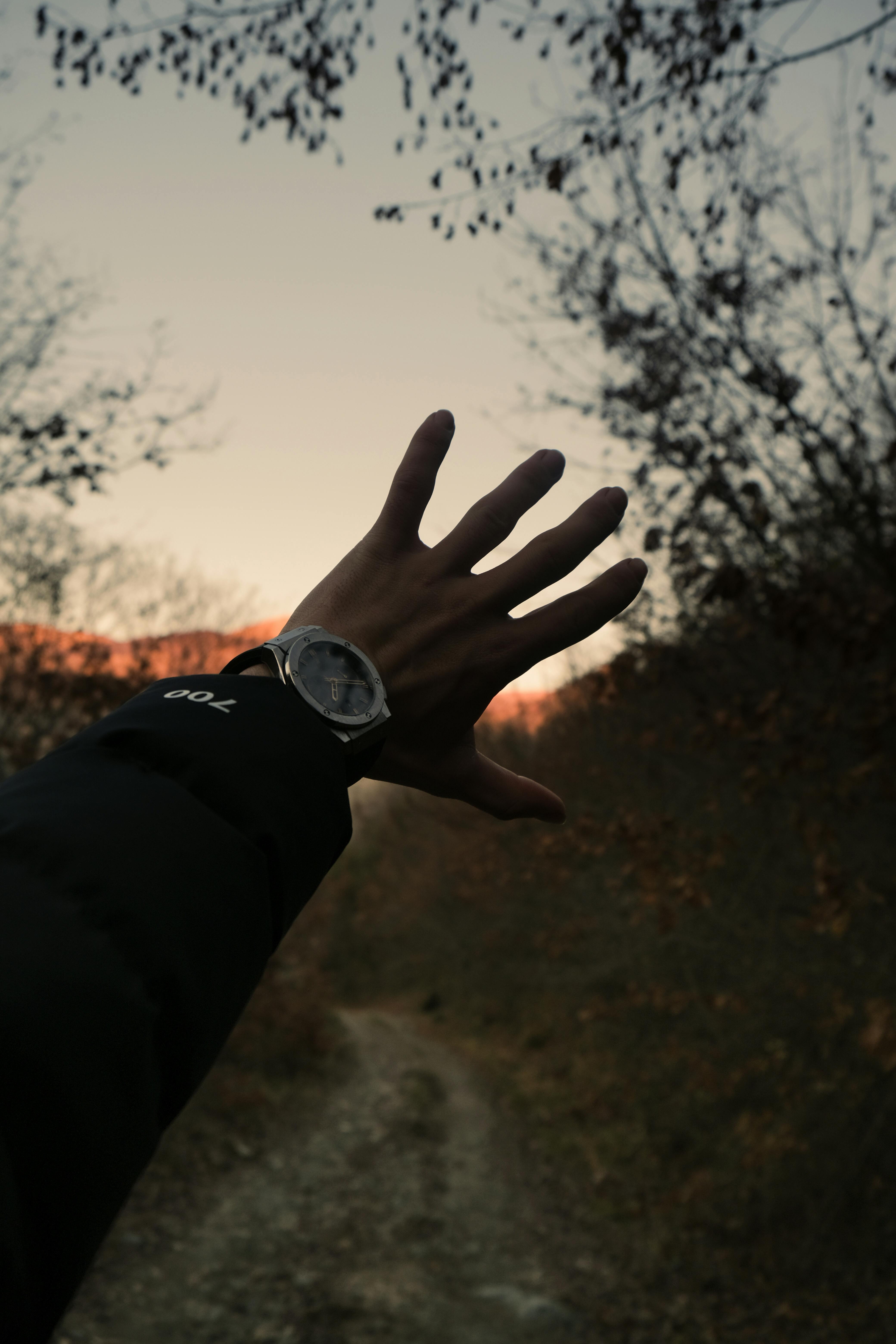 Sunset Reggae Photos, Download Free Sunset Reggae Stock Photos & HD Images