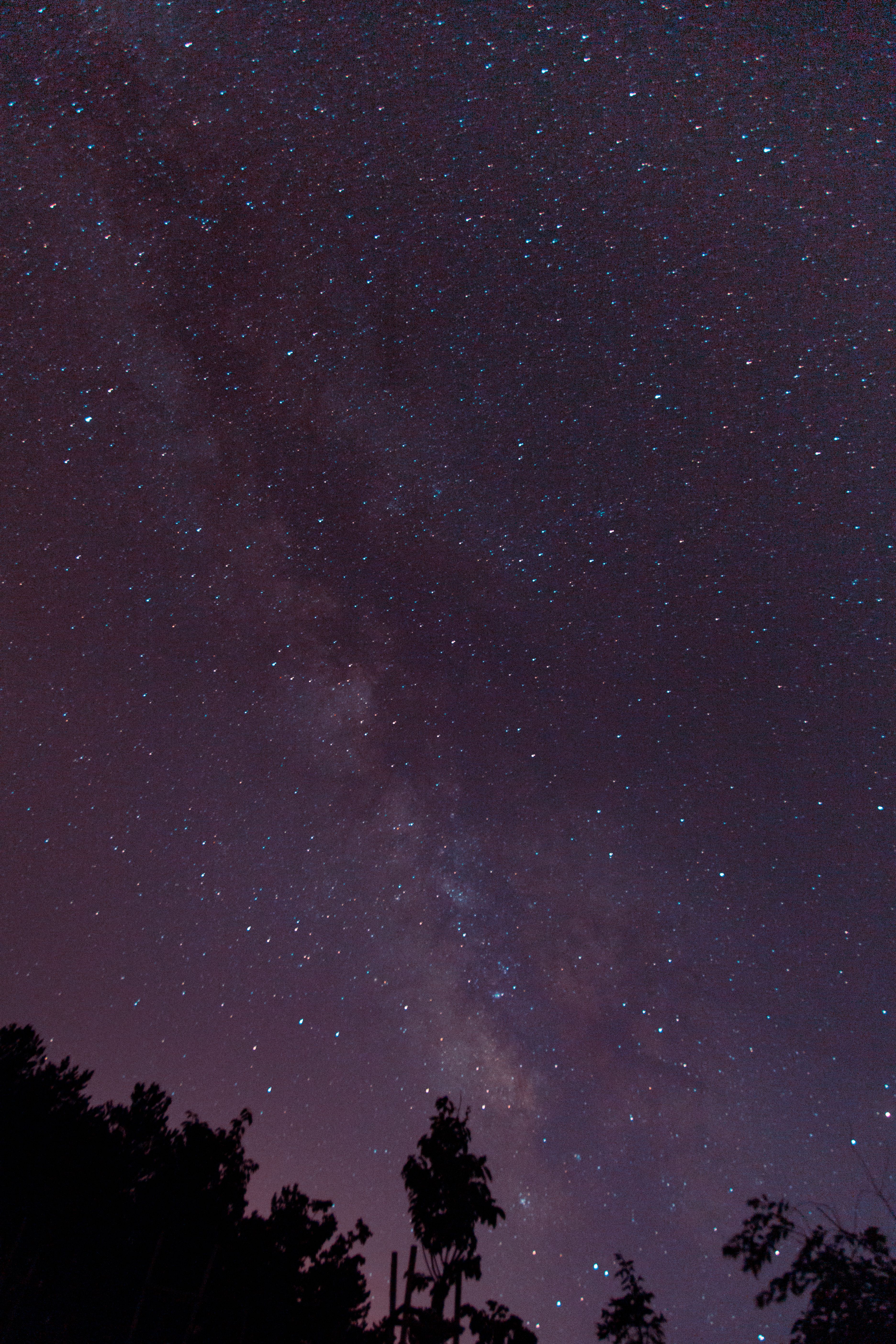 Star Field in the Night Sky and Silhouette of Trees · Free Stock Photo
