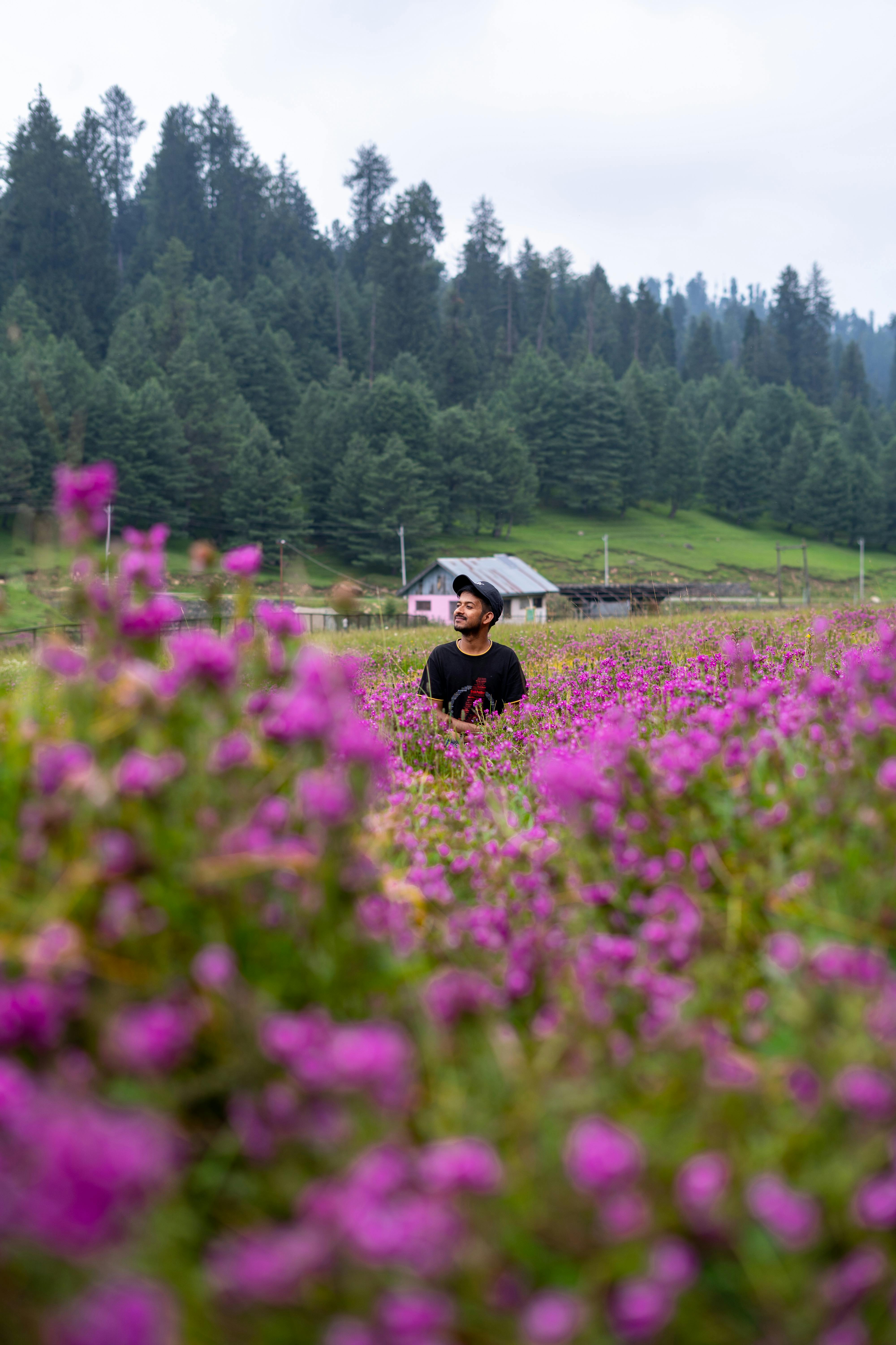 Farmhouse Flowers Photos, Download The BEST Free Farmhouse Flowers ...