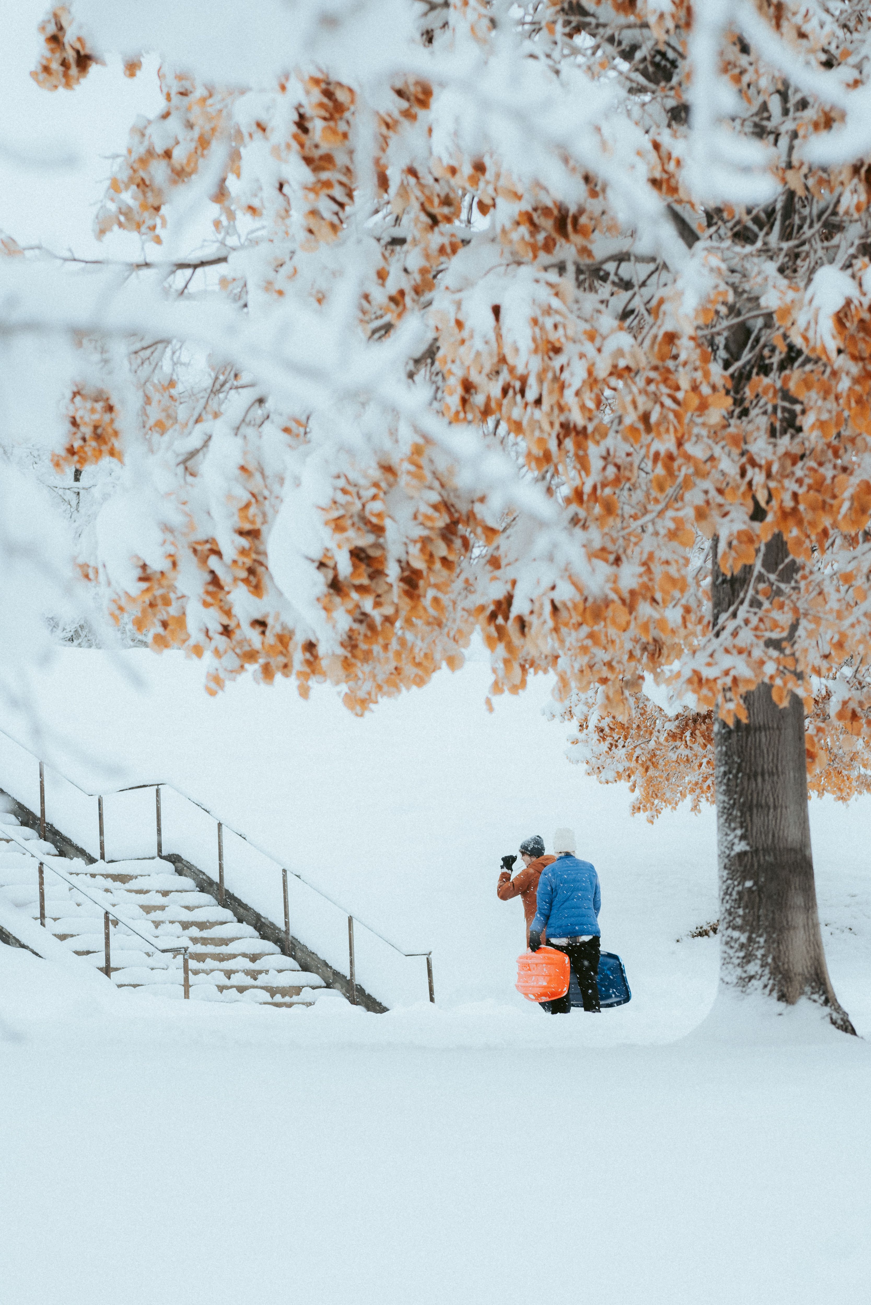 People Walking on Snow · Free Stock Photo