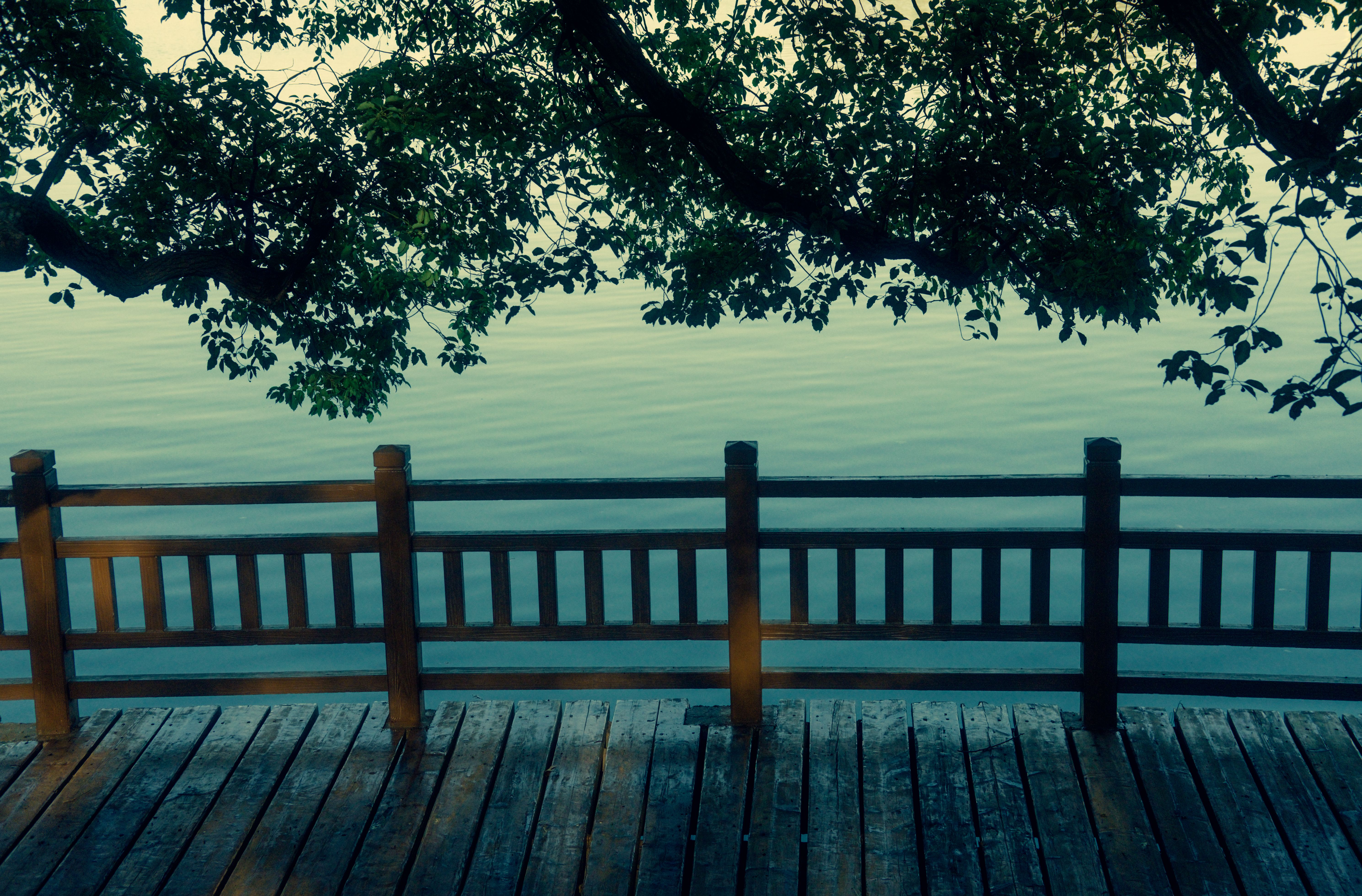 Boardwalk on the Lakeshore · Free Stock Photo