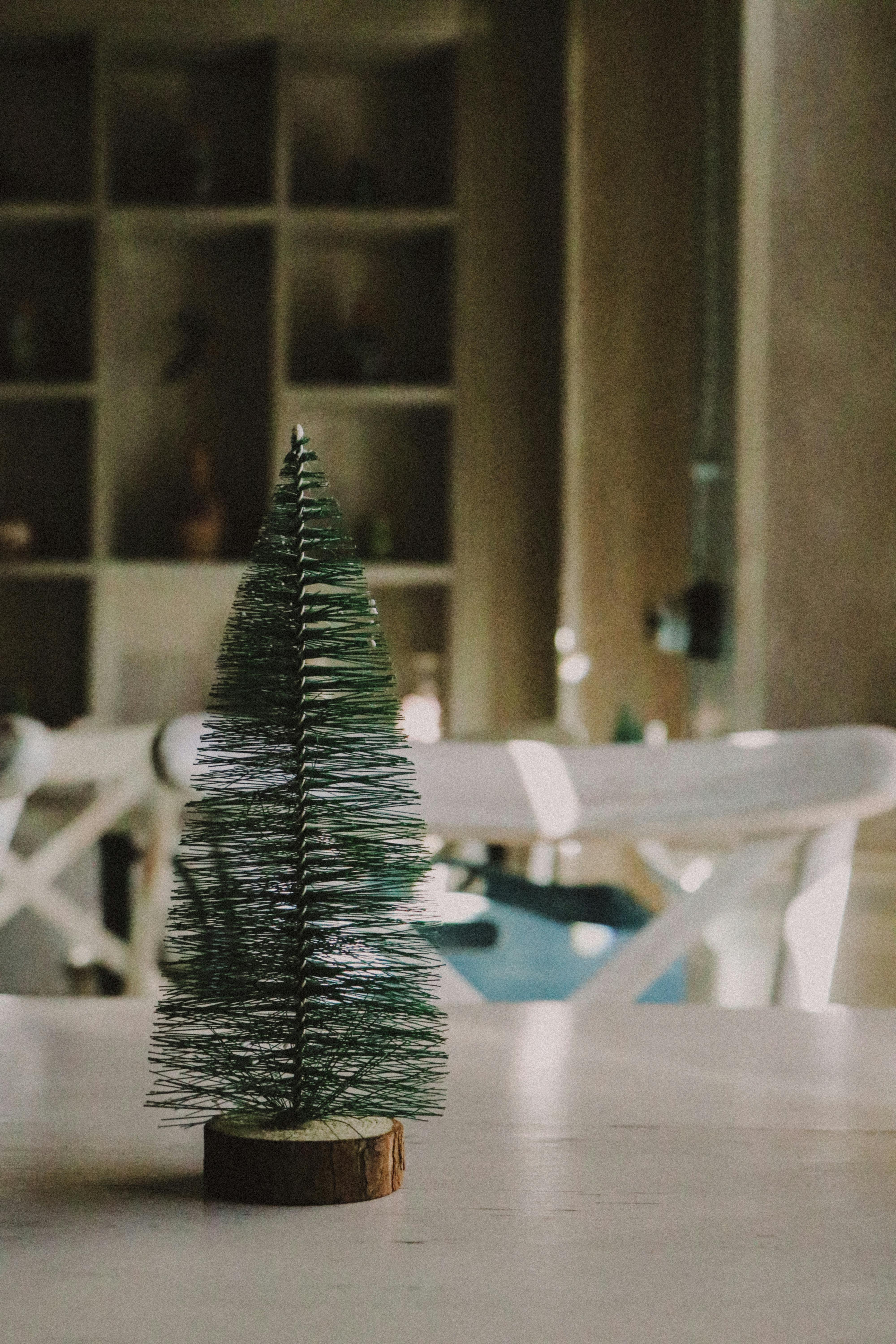 Photo of a Small DIY Pine Tree Standing on a Table · Free Stock Photo