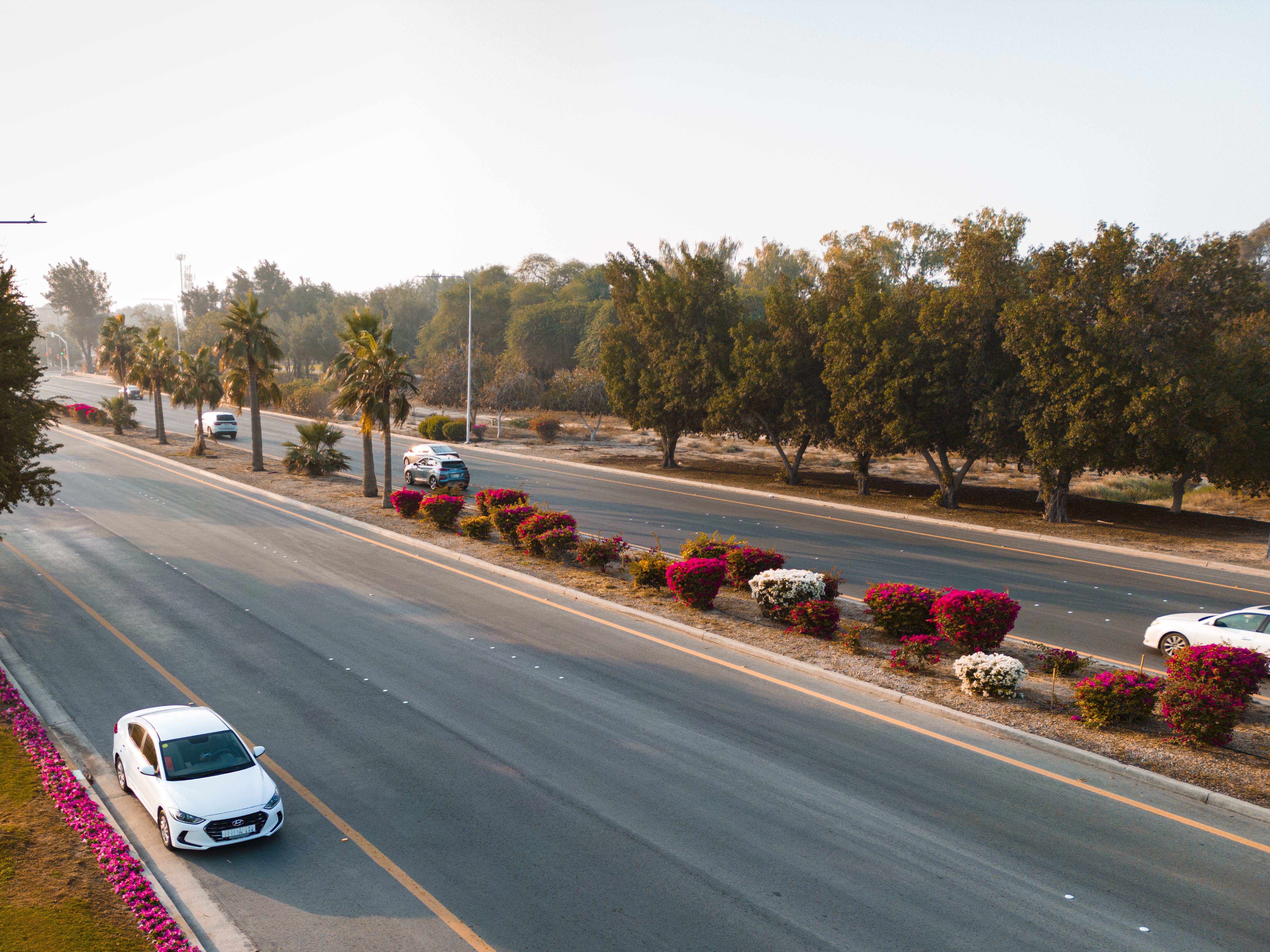Traffic on the Highway in Saudi Arabia · Free Stock Photo