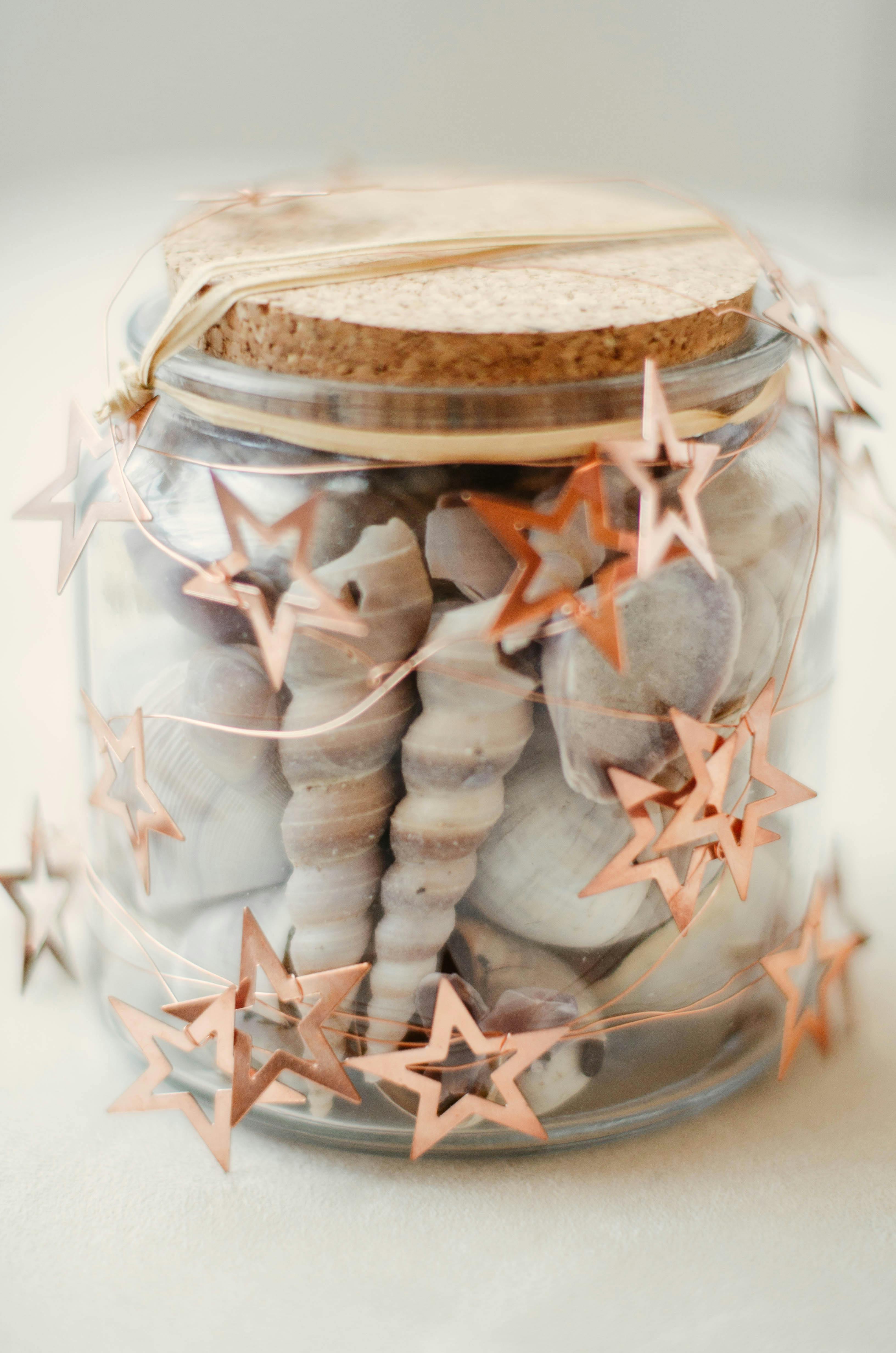 Seashells in a Glass Jar · Free Stock Photo