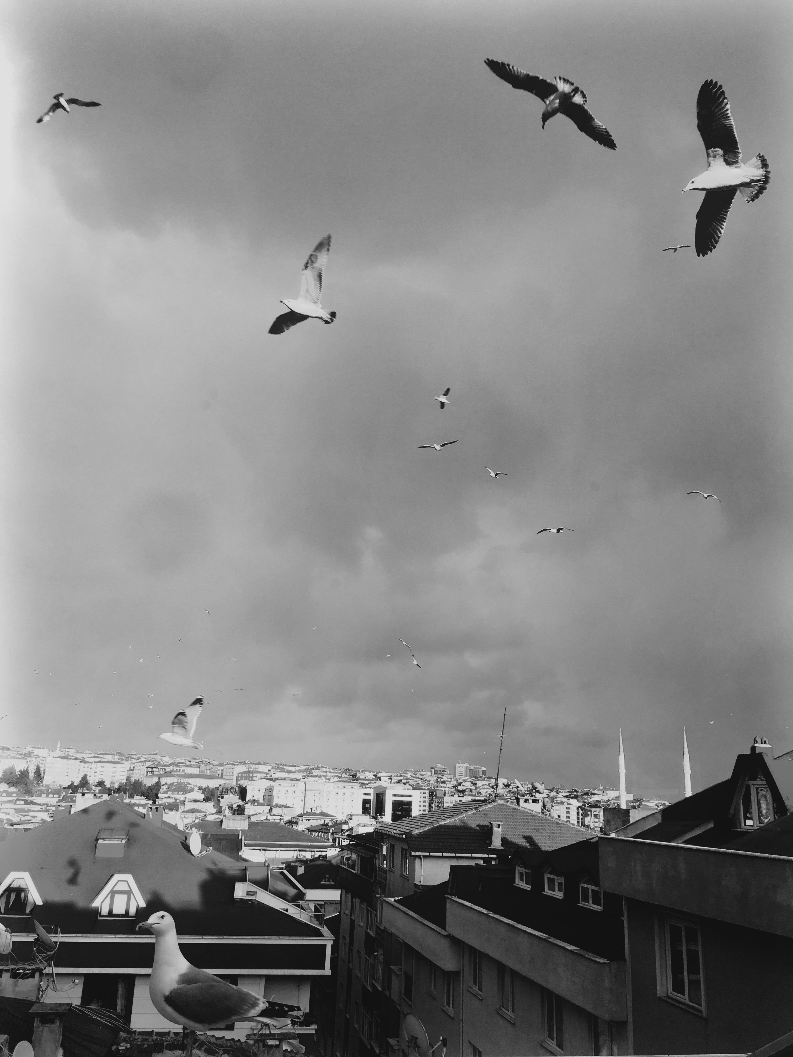 Unsplash Passphotos Photos, Download Free Unsplash Passphotos Stock ...