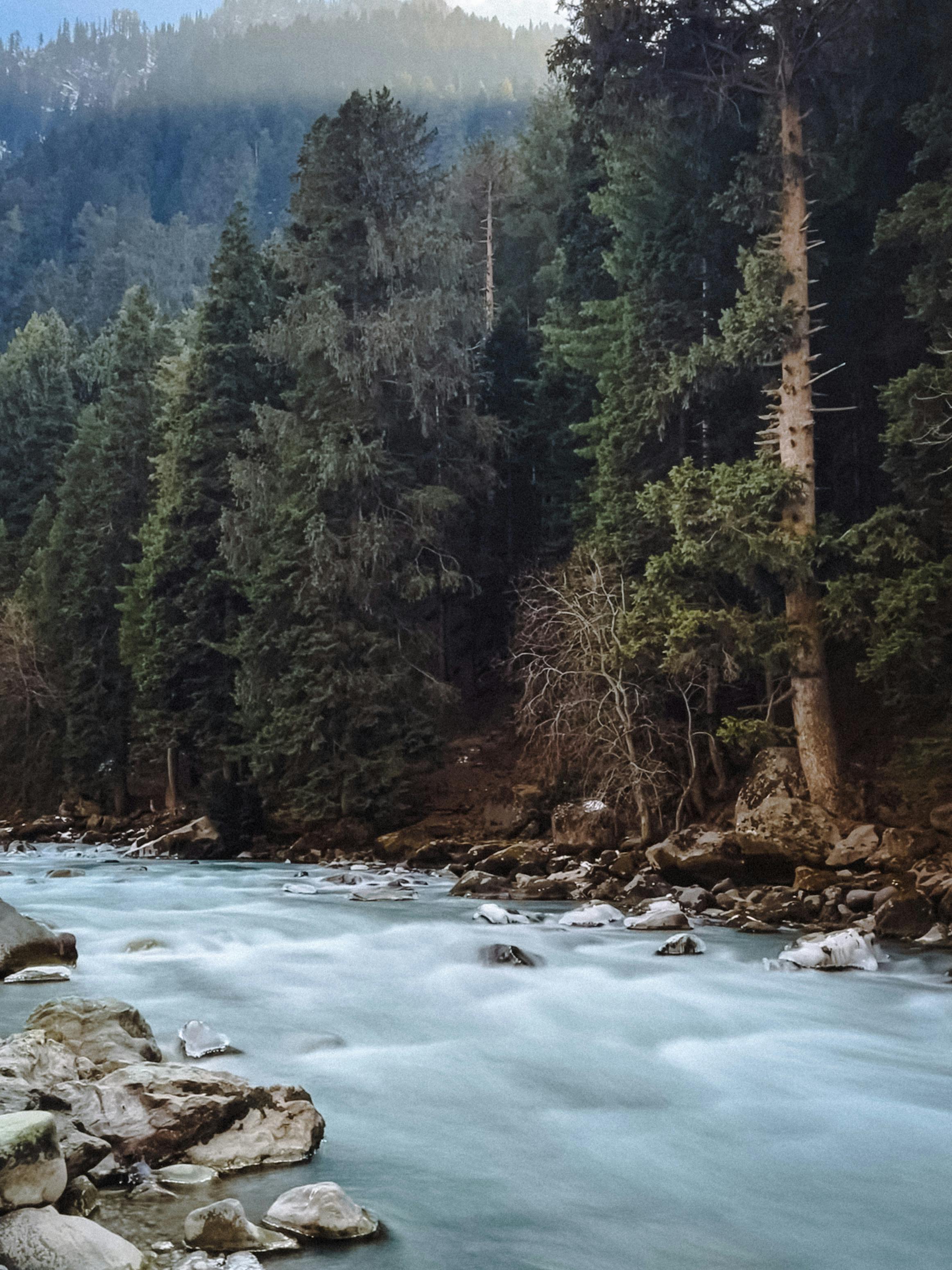 River in Mountains · Free Stock Photo