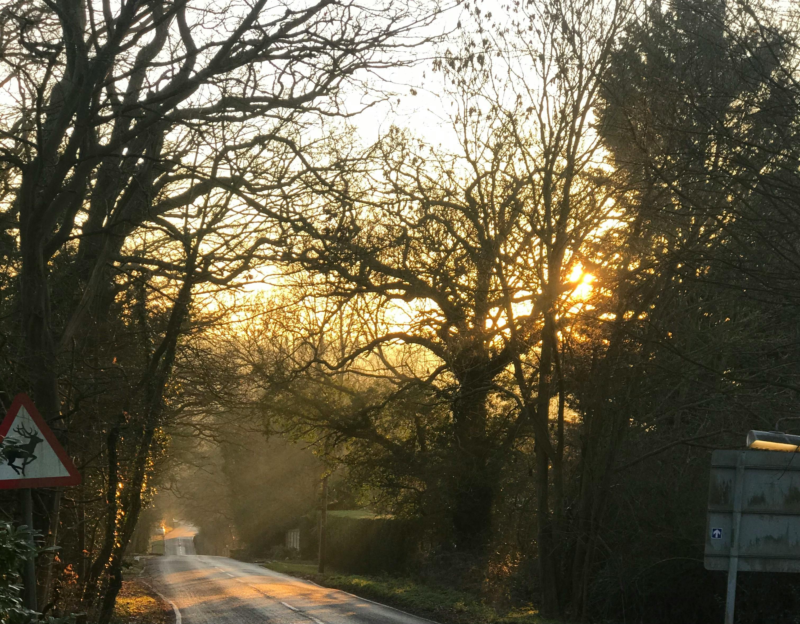 Karen Rice - Photography